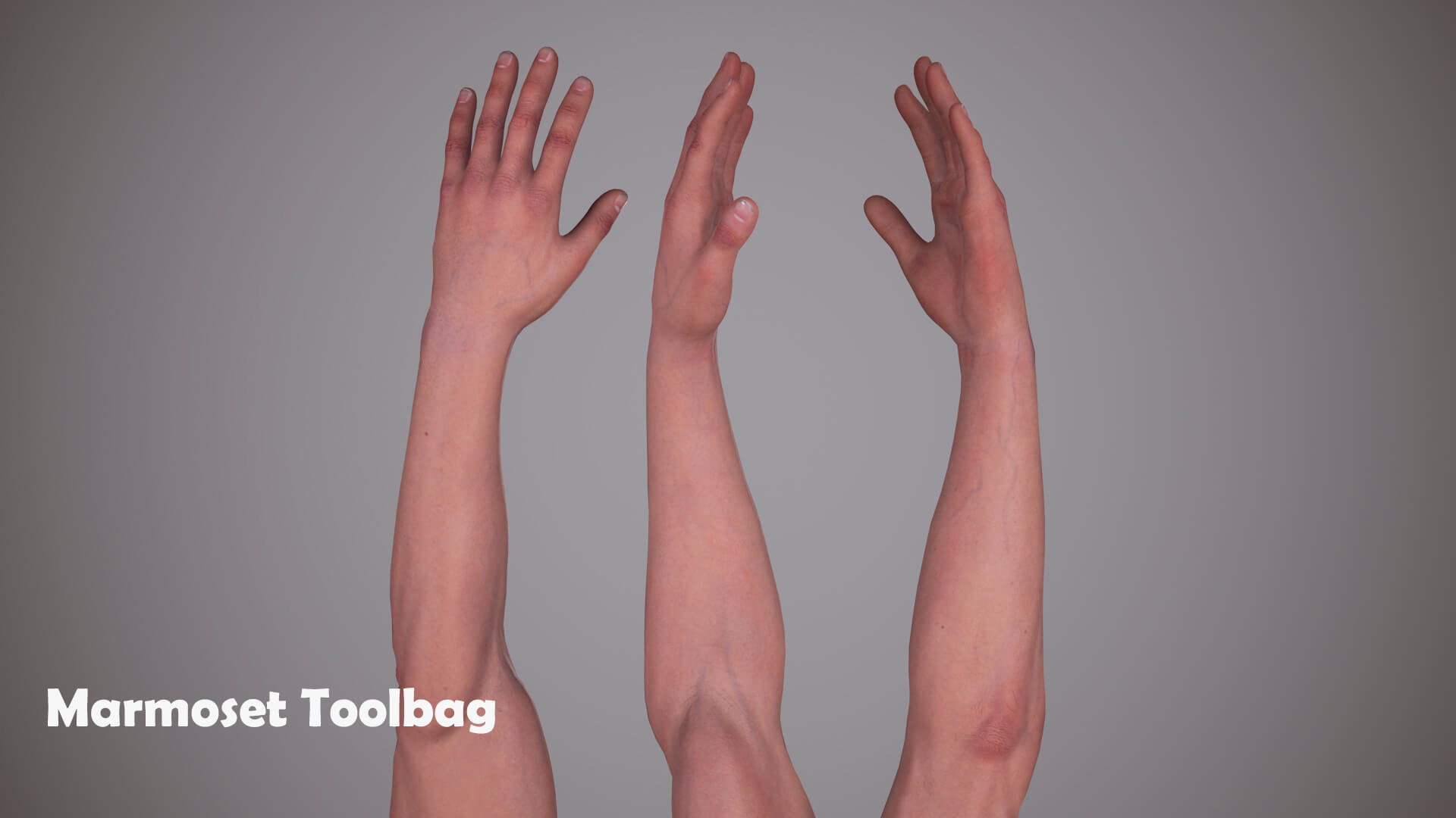 FPS Arms 01 Rigged - 3D Model by Davlet