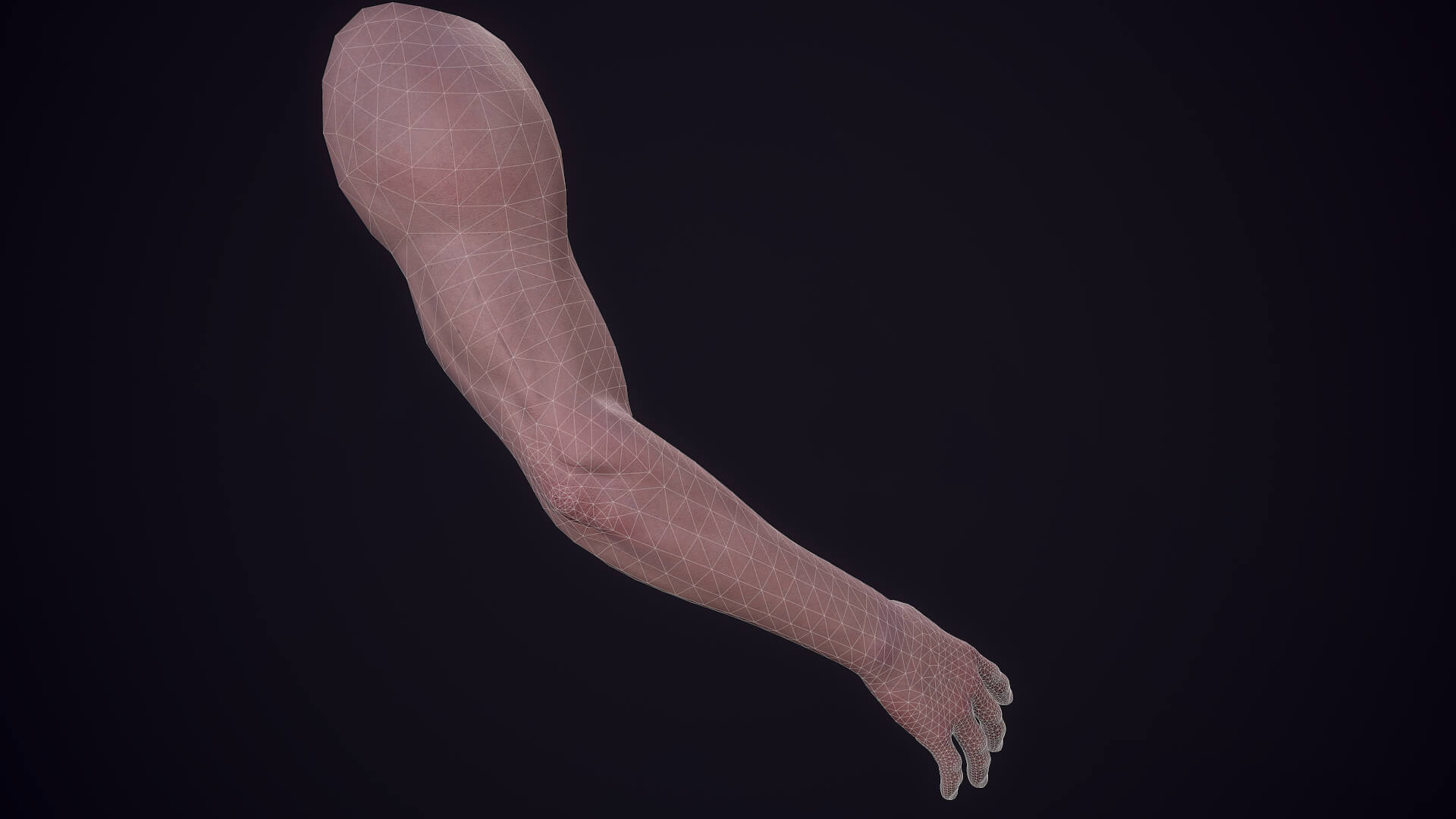 FPS Arms 01 Rigged - 3D Model by Davlet