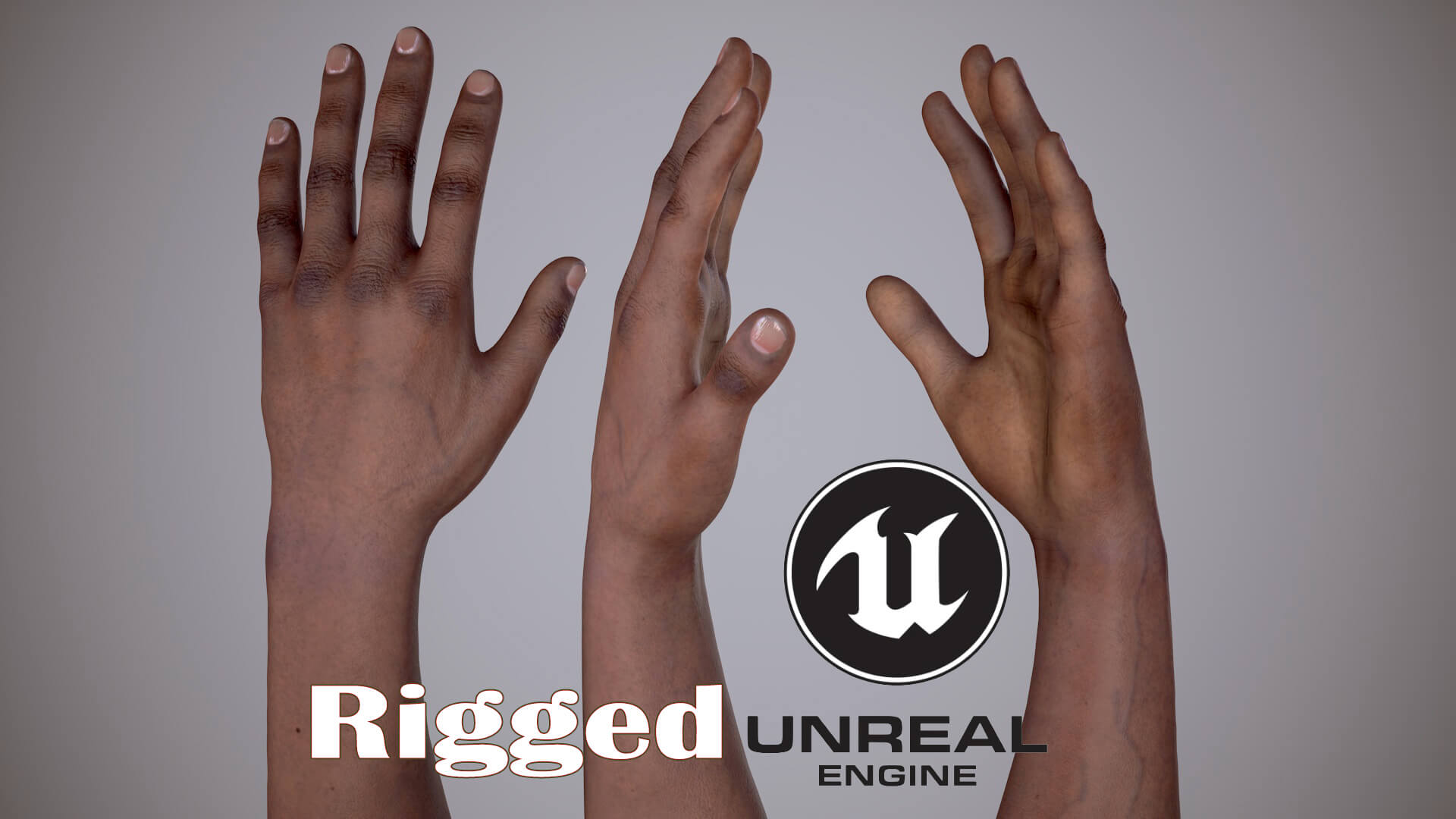 FPS Arms 02 Rigged - 3D Model by Davlet