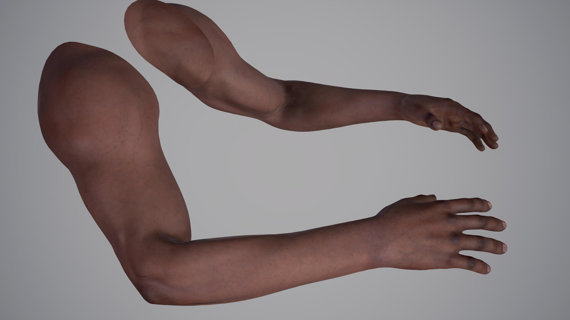 FPS Arms 02 Rigged - 3D Model by Davlet