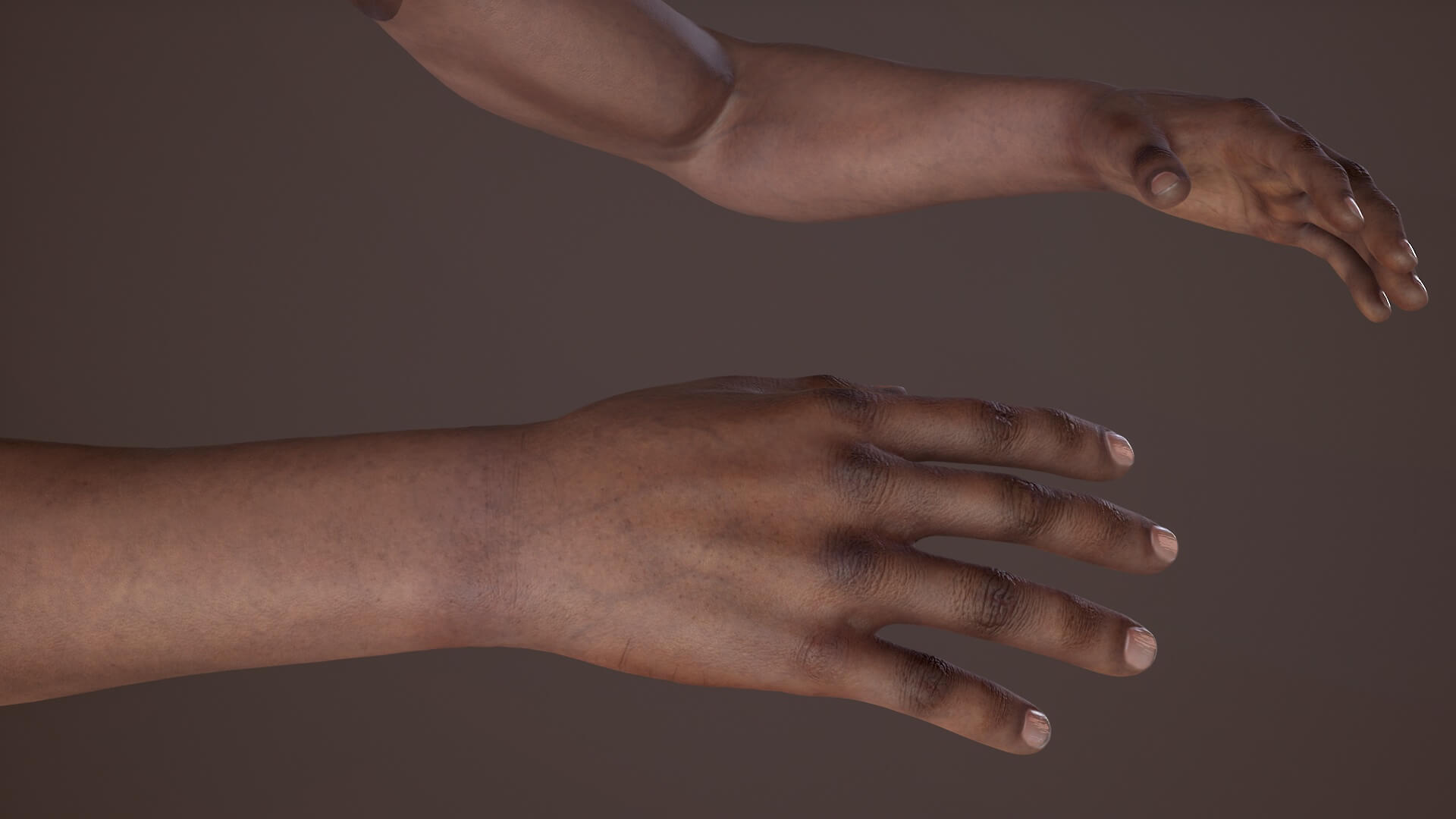 FPS Arms 02 Rigged - 3D Model by Davlet