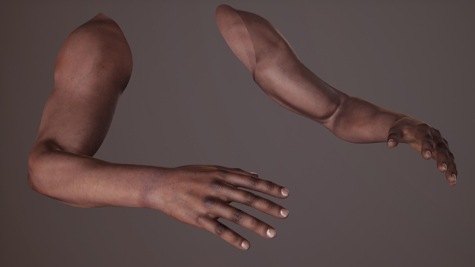 FPS Arms 02 Rigged - 3D Model by Davlet