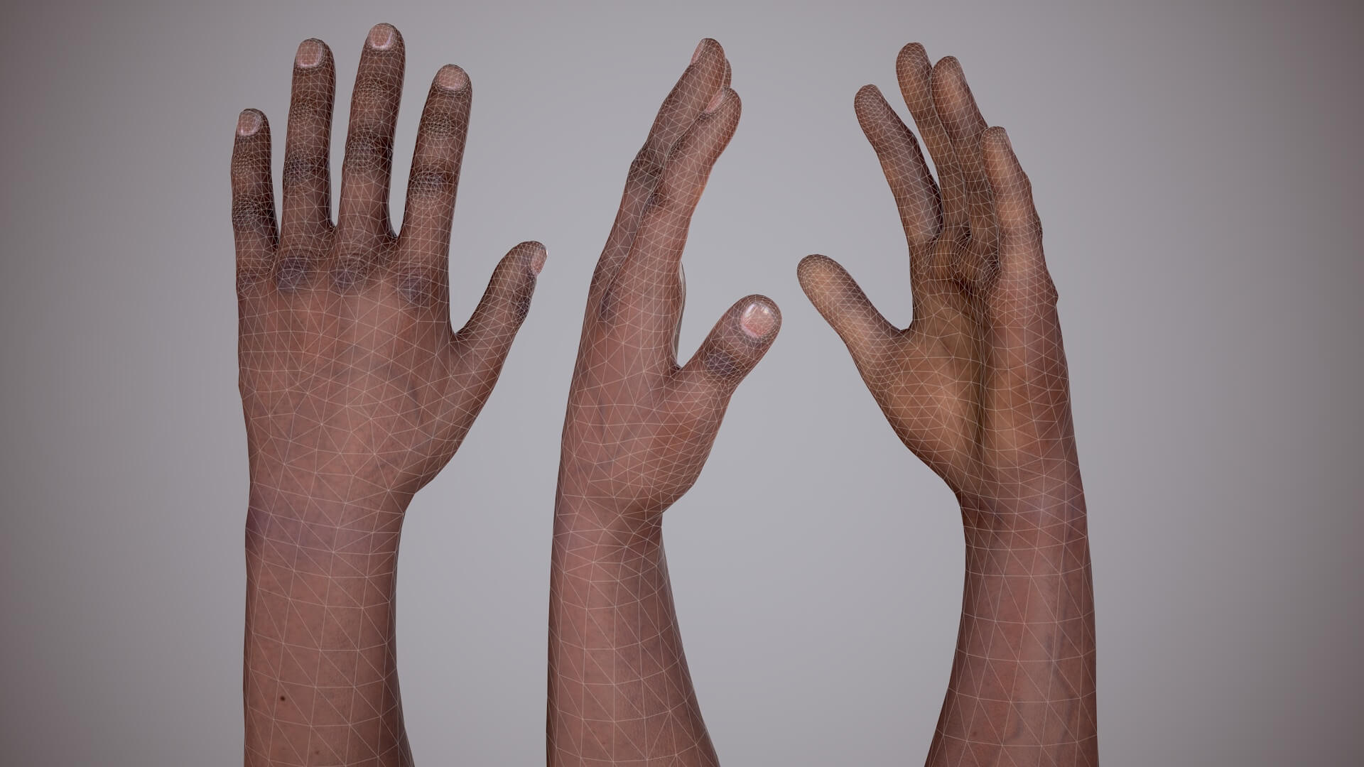 FPS Arms 02 Rigged - 3D Model by Davlet