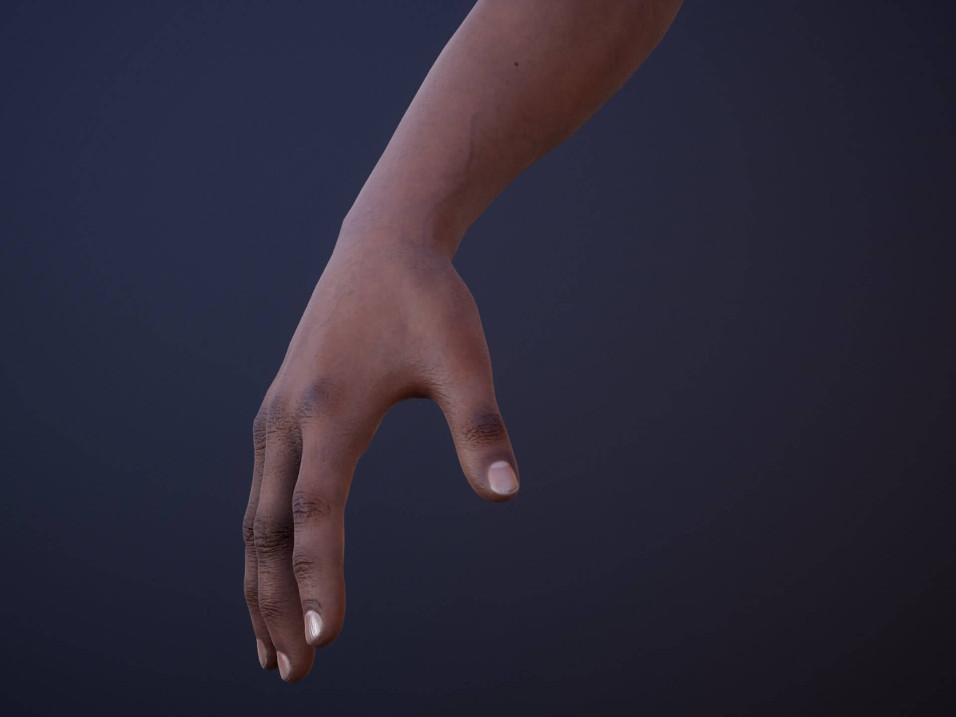 FPS First Person Arms - 01 B 3D Model by Davlet