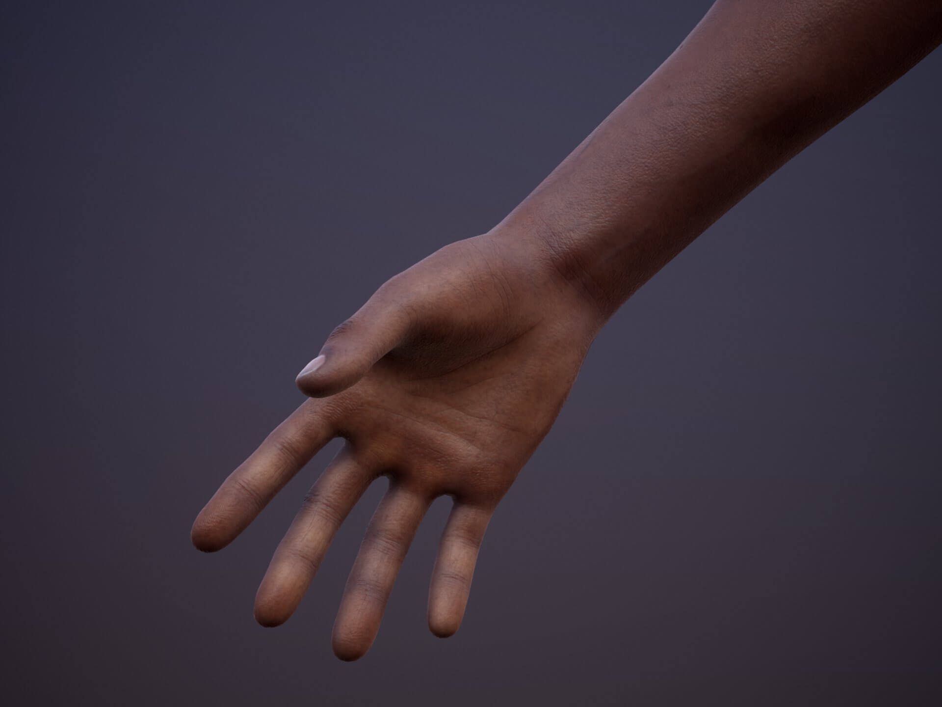 FPS First Person Arms - 01 B 3D Model by Davlet