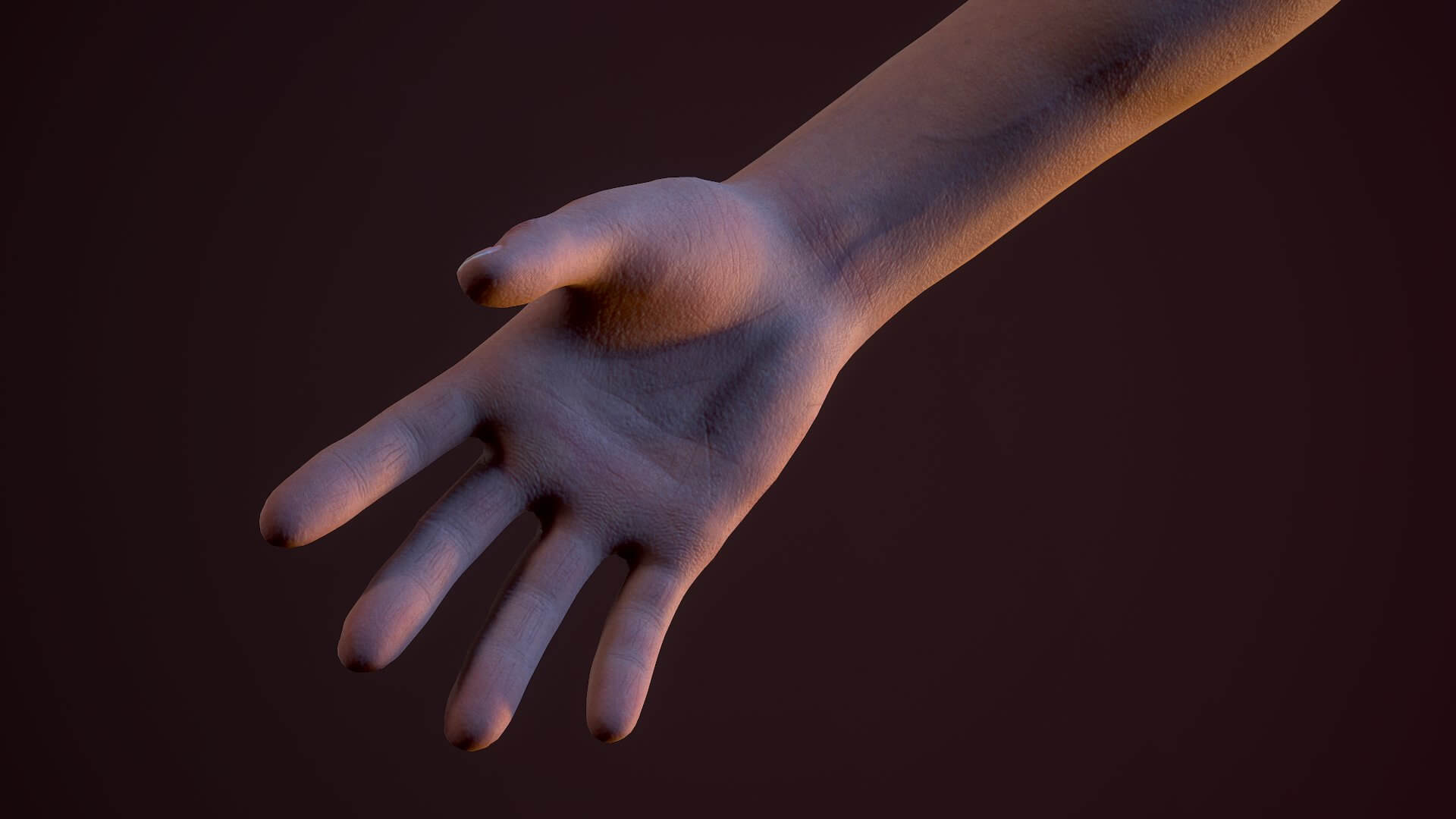 FPS First Person Arms - 04 3D Model by Davlet