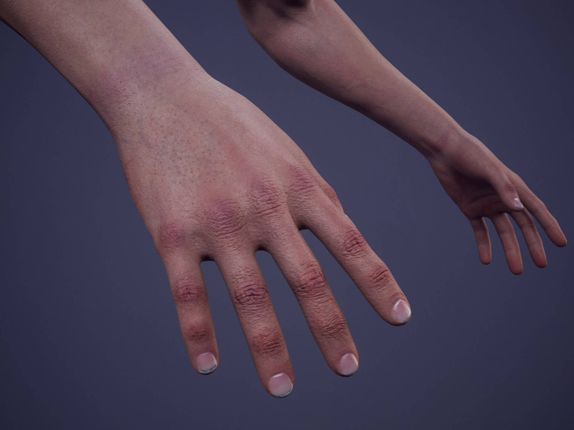 FPS First Person Arms - 01 3D Model by Davlet