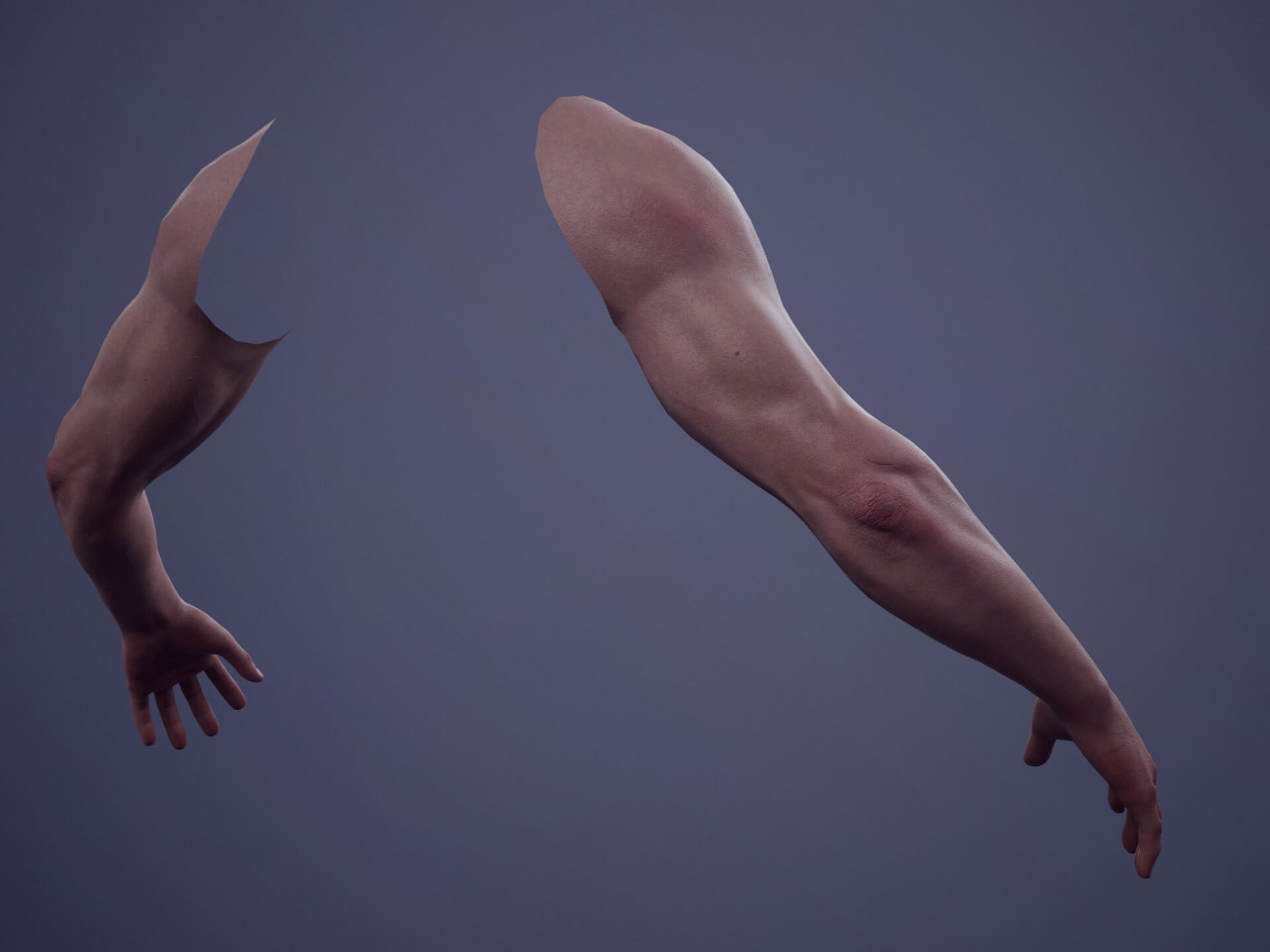 FPS First Person Arms - 01 3D Model by Davlet