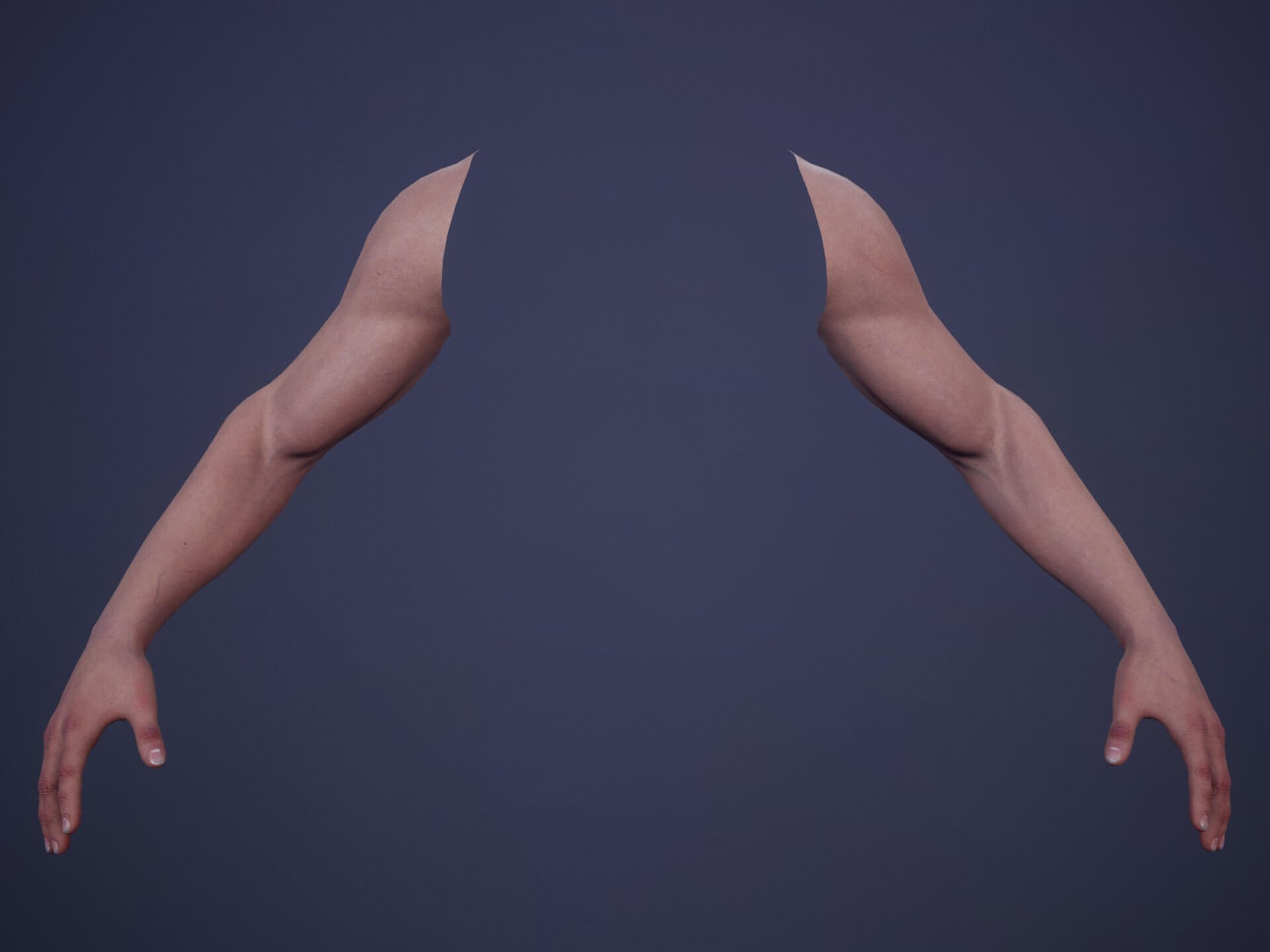 FPS First Person Arms - 01 3D Model by Davlet