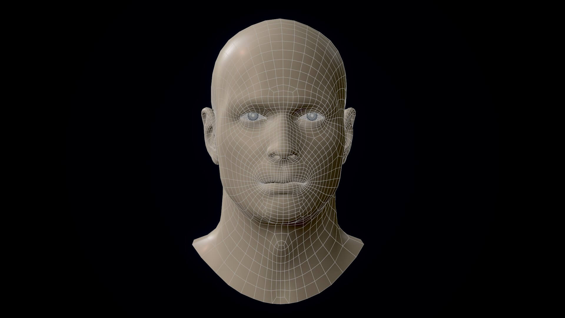 3d Topology Head