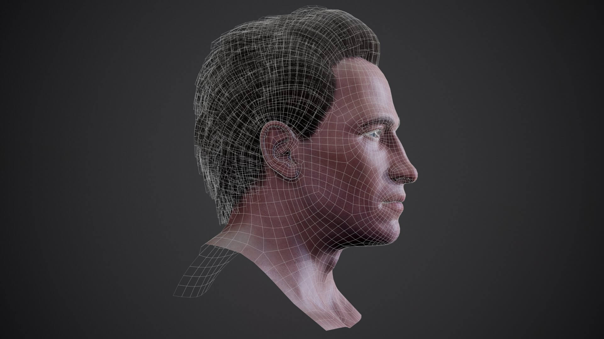 Male Head and Hair -1 3D Model by Davlet