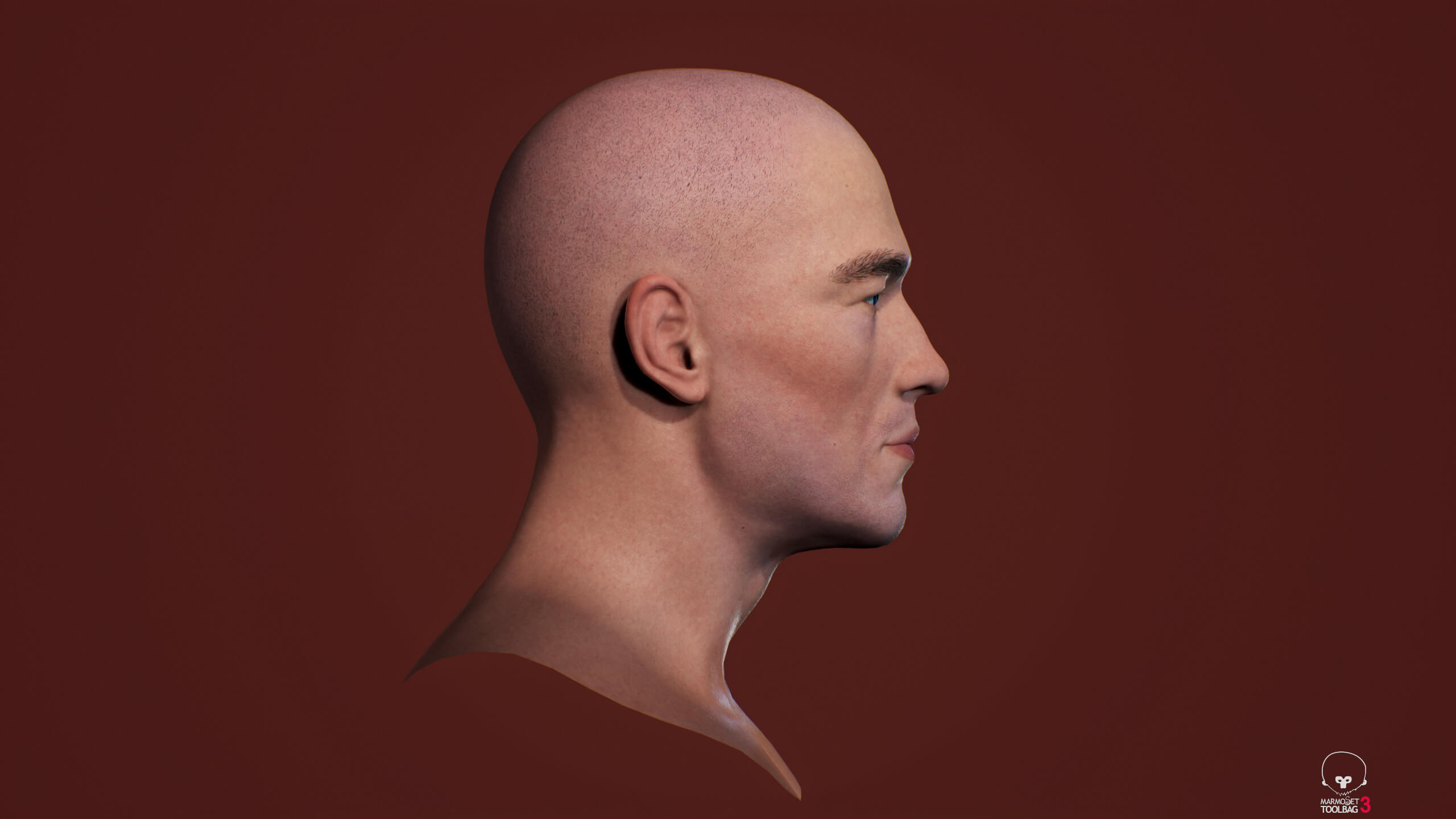 Soldier Head - Update 02 3D Model by Davlet