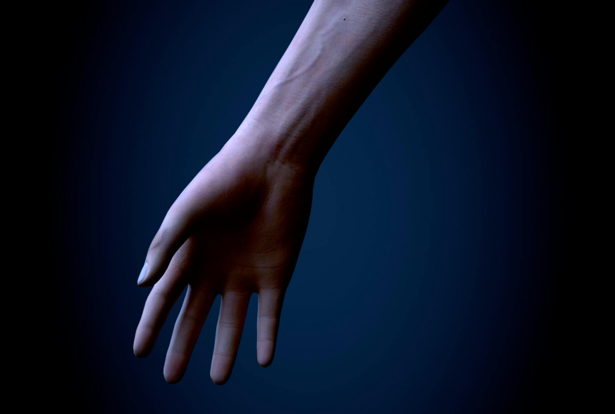 Two Arms Rigged - 3D Model by Davlet