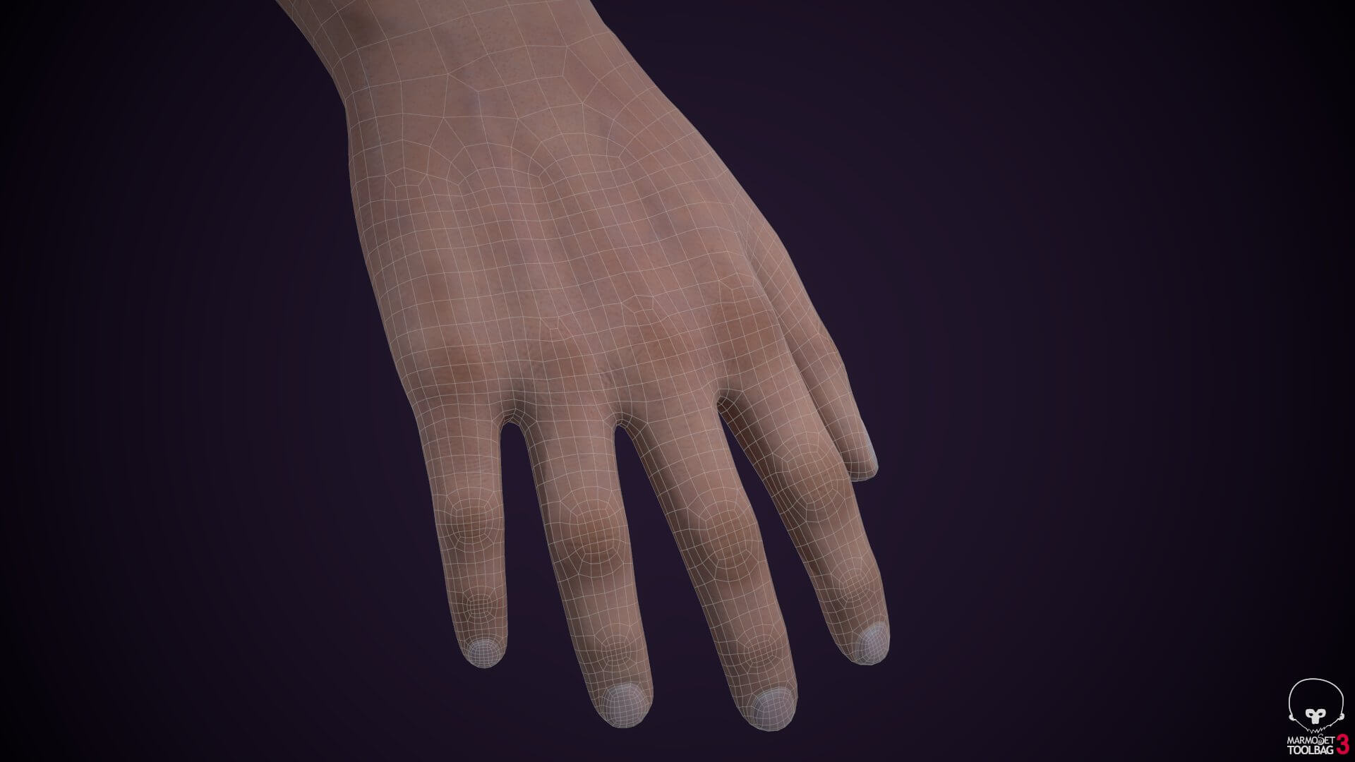 Two Arms Rigged - 3D Model by Davlet