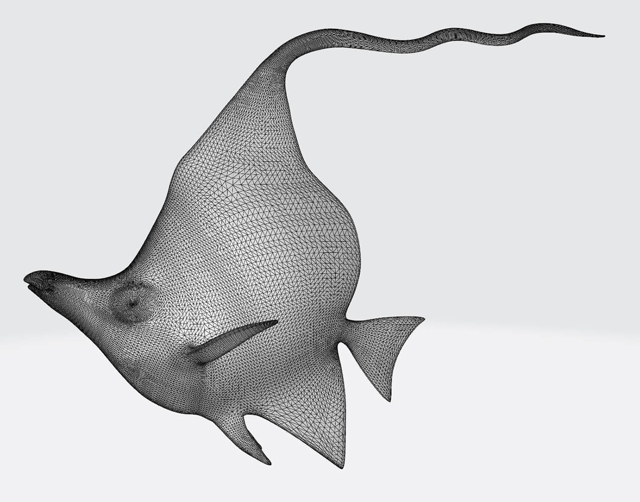 Angel Fish - 3D Model by dawnhurt