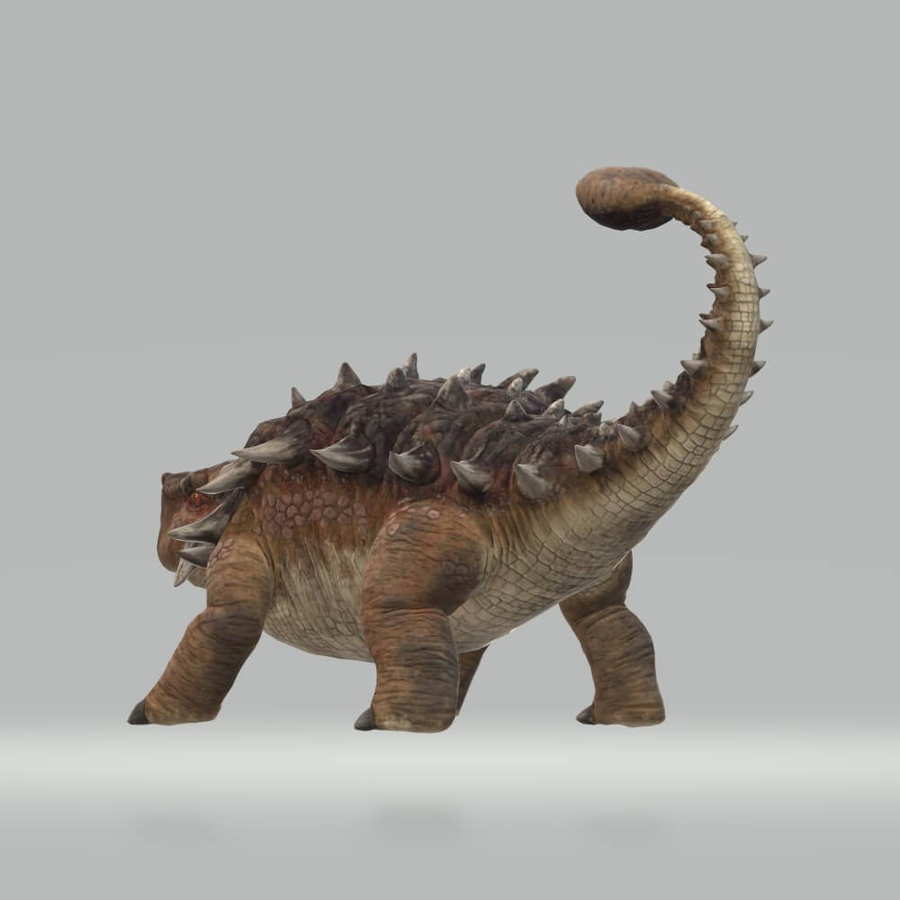 Ankylosaurus Dinosaur - 3D Model by dawnhurt