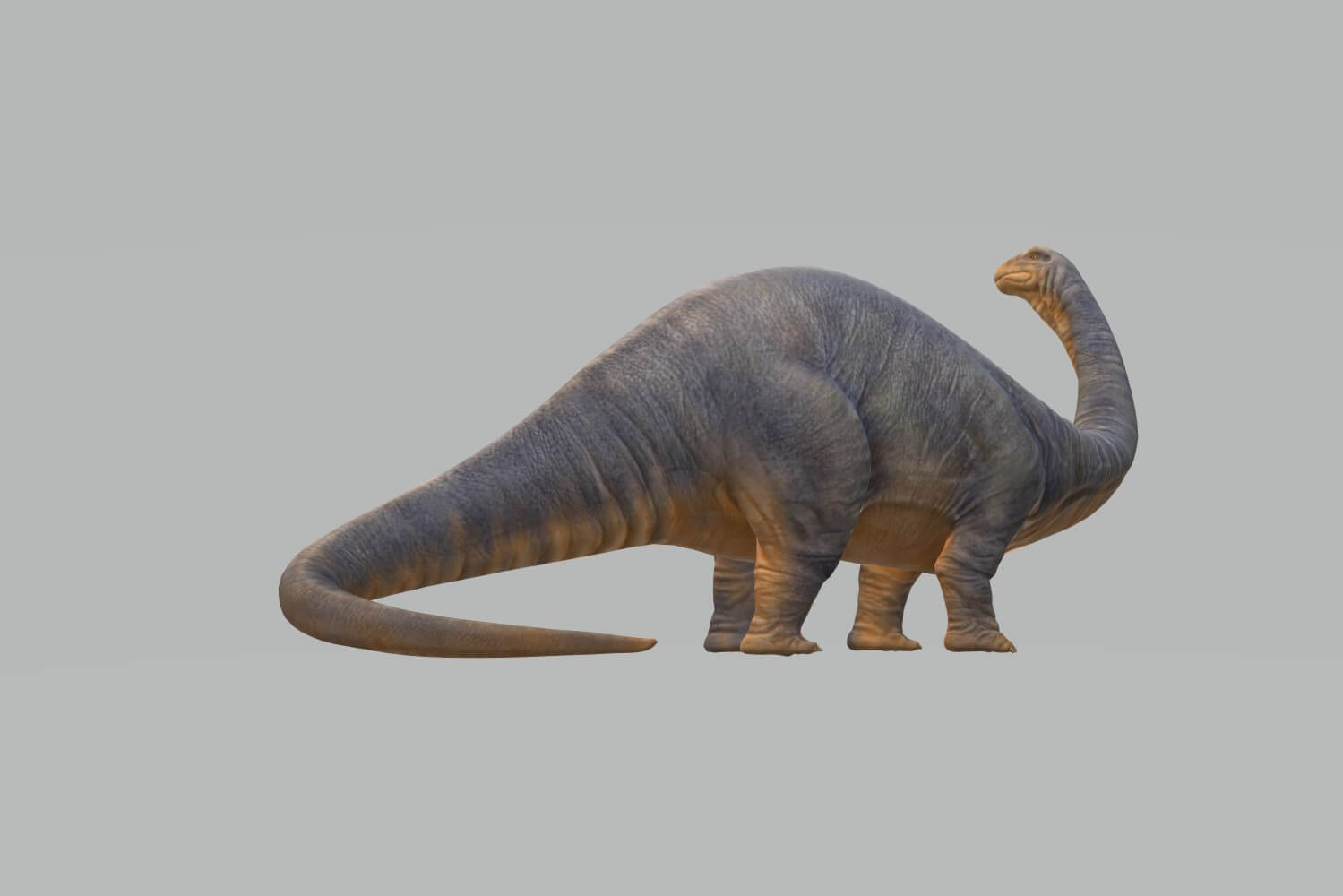 Apatosaurus Dinosaurs