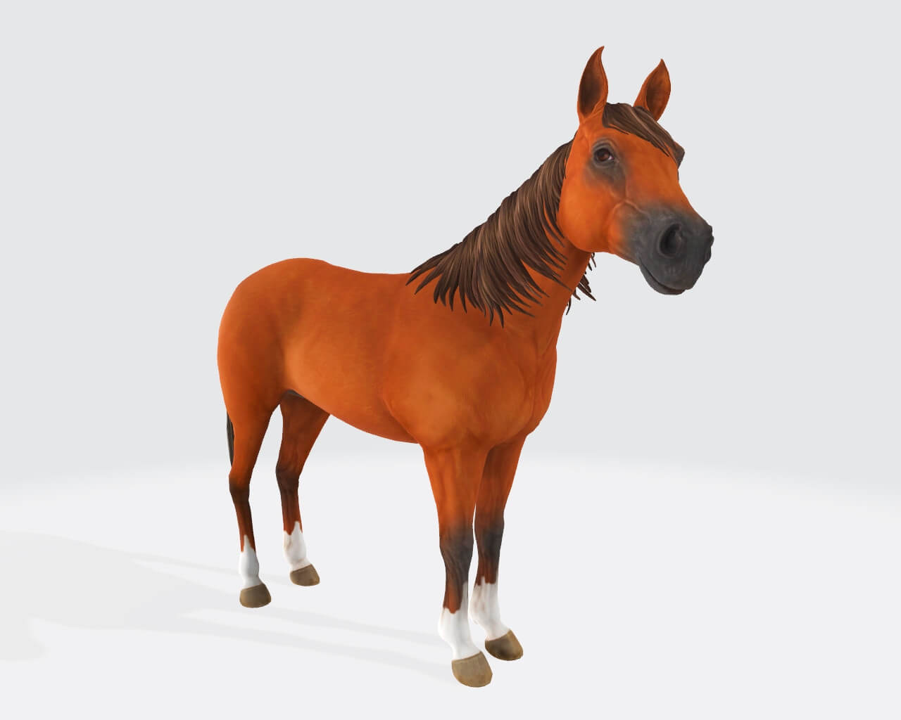 Brown Horse Animal - 3D Print Model by dawnhurt