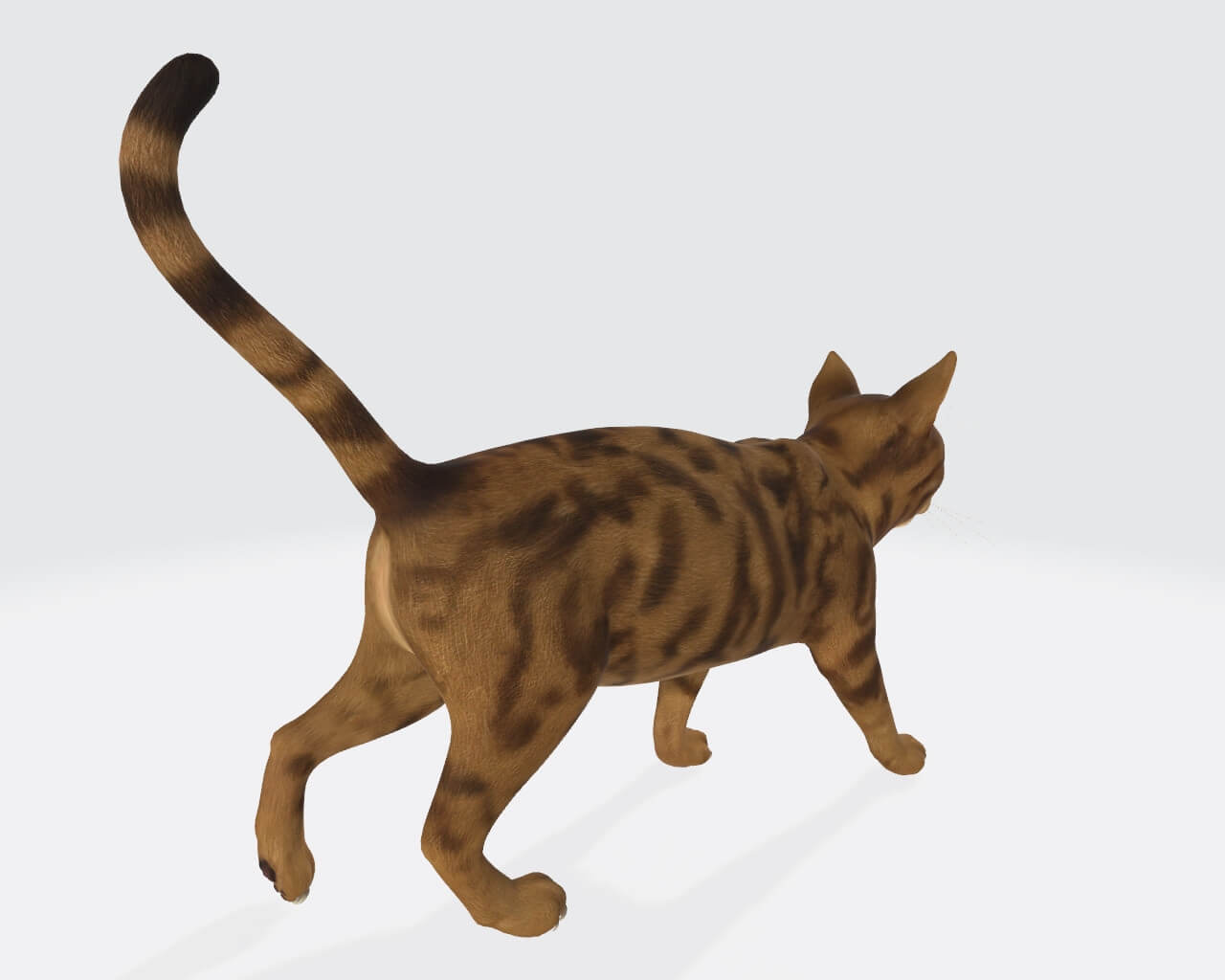 Cat Animal Sculpture - 3D Print Model by dawnhurt