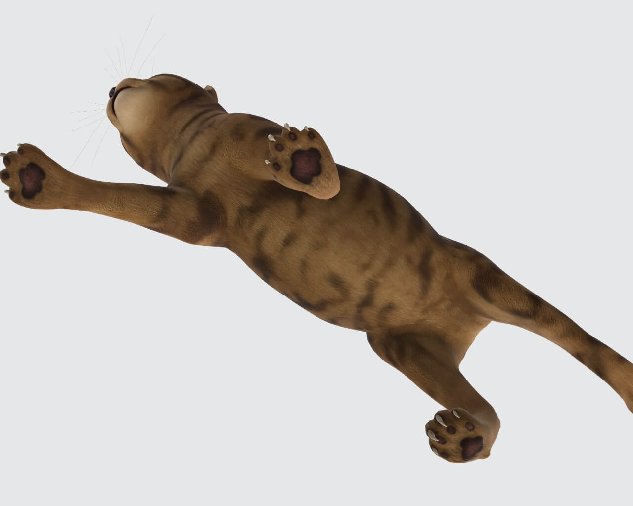 Cat Animal Sculpture - 3D Print Model by dawnhurt