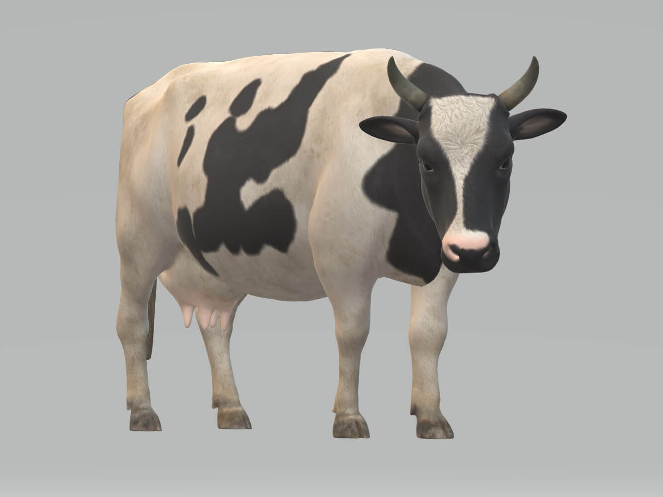 Dairy Cow Sculptures - 3D Model by dawnhurt