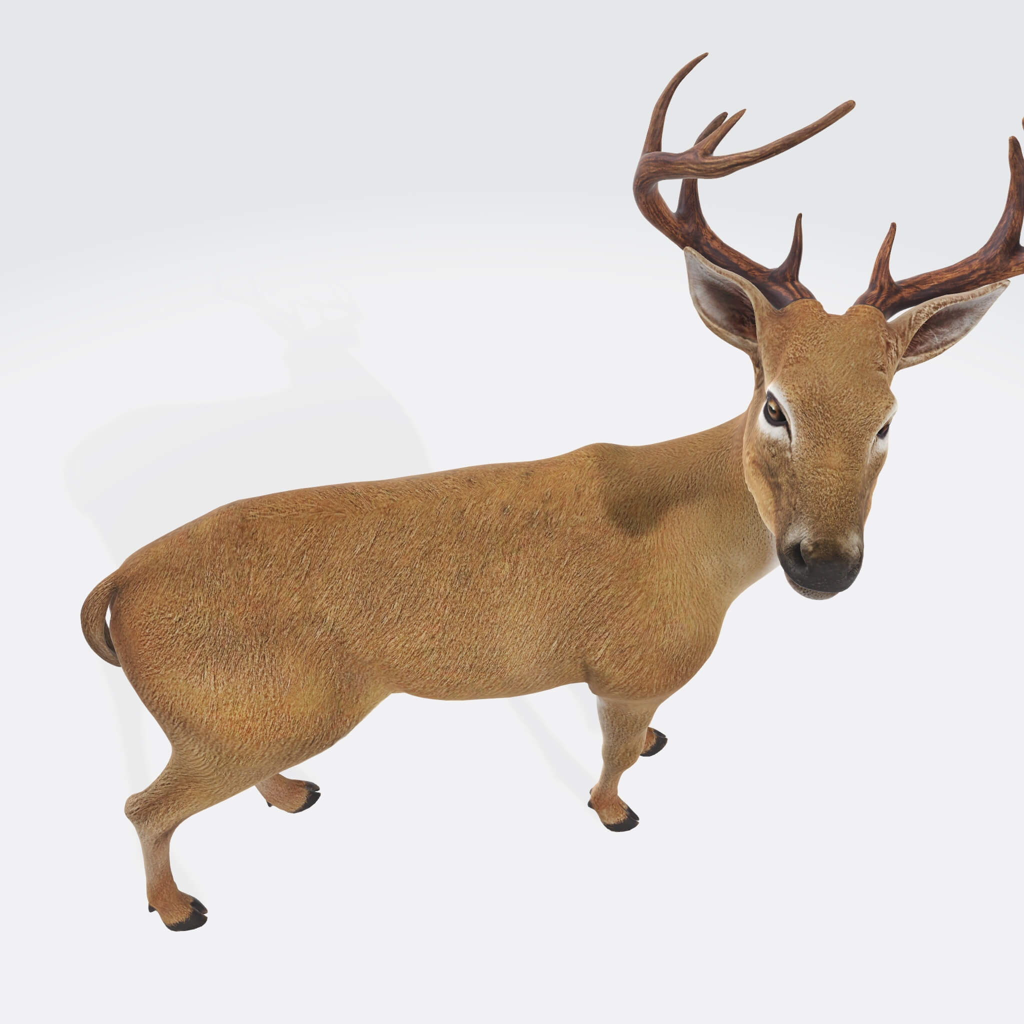 Deer Animals Statue - 3D Print Model by dawnhurt