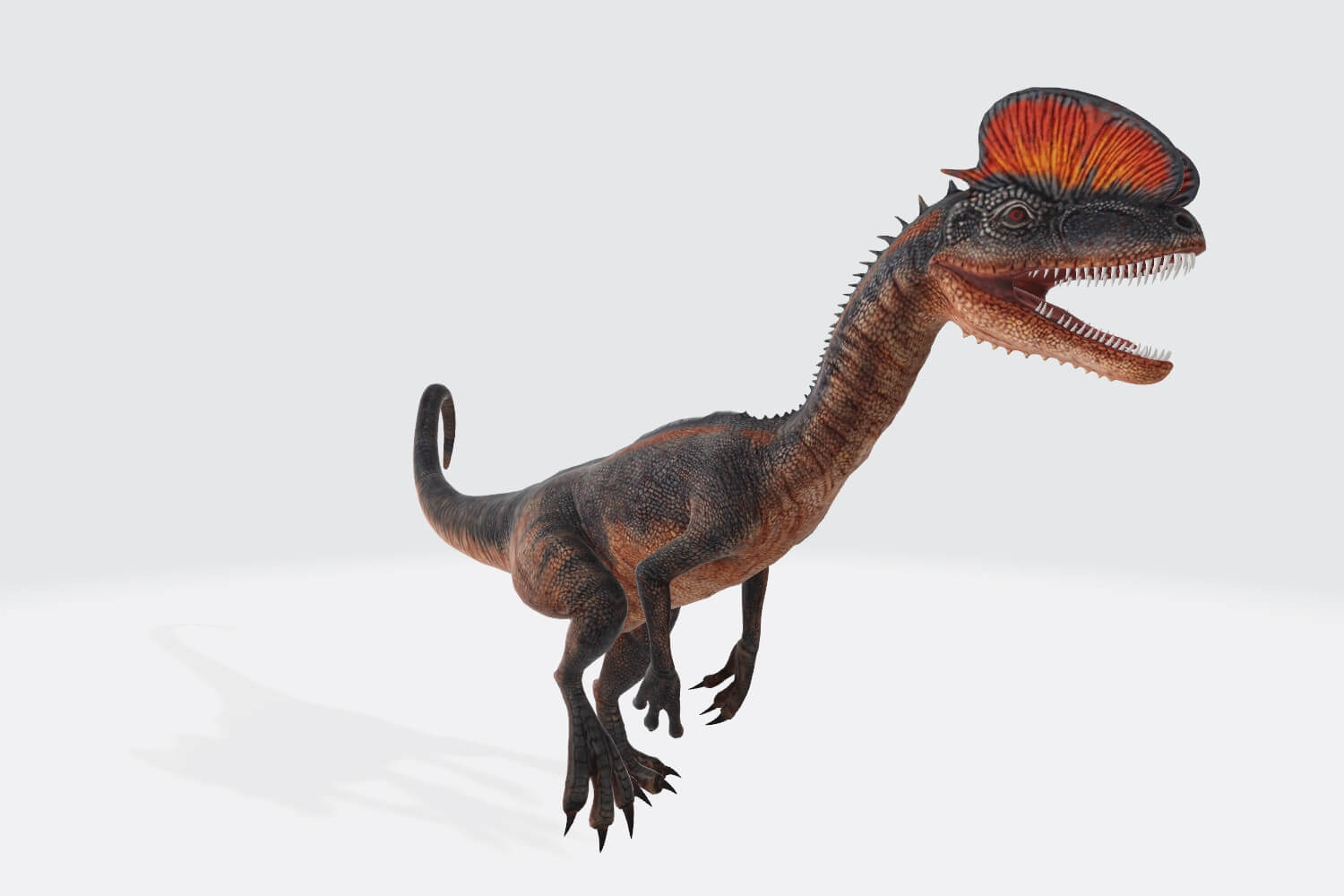 Dilophosaurus Dinosaur - 3D Model by dawnhurt