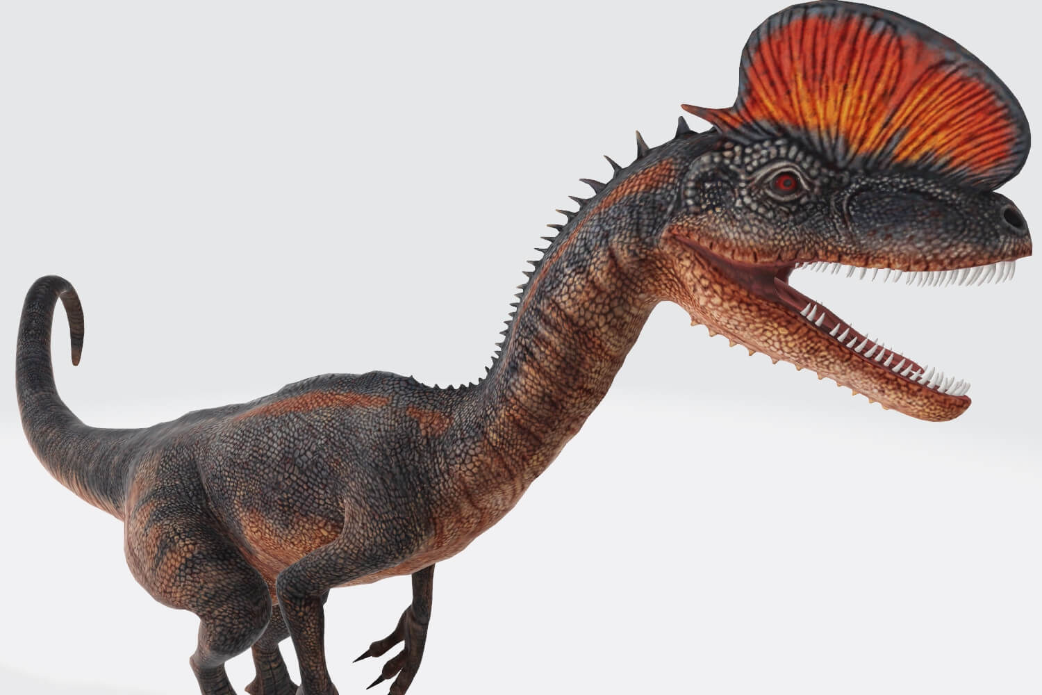 Dilophosaurus Dinosaur - 3D Model by dawnhurt