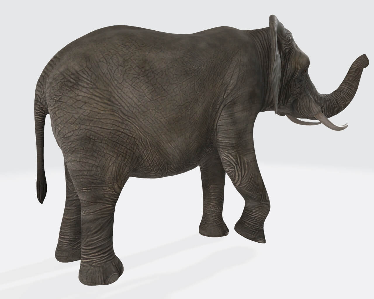 Elephant Animal - 3D Print Model by dawnhurt