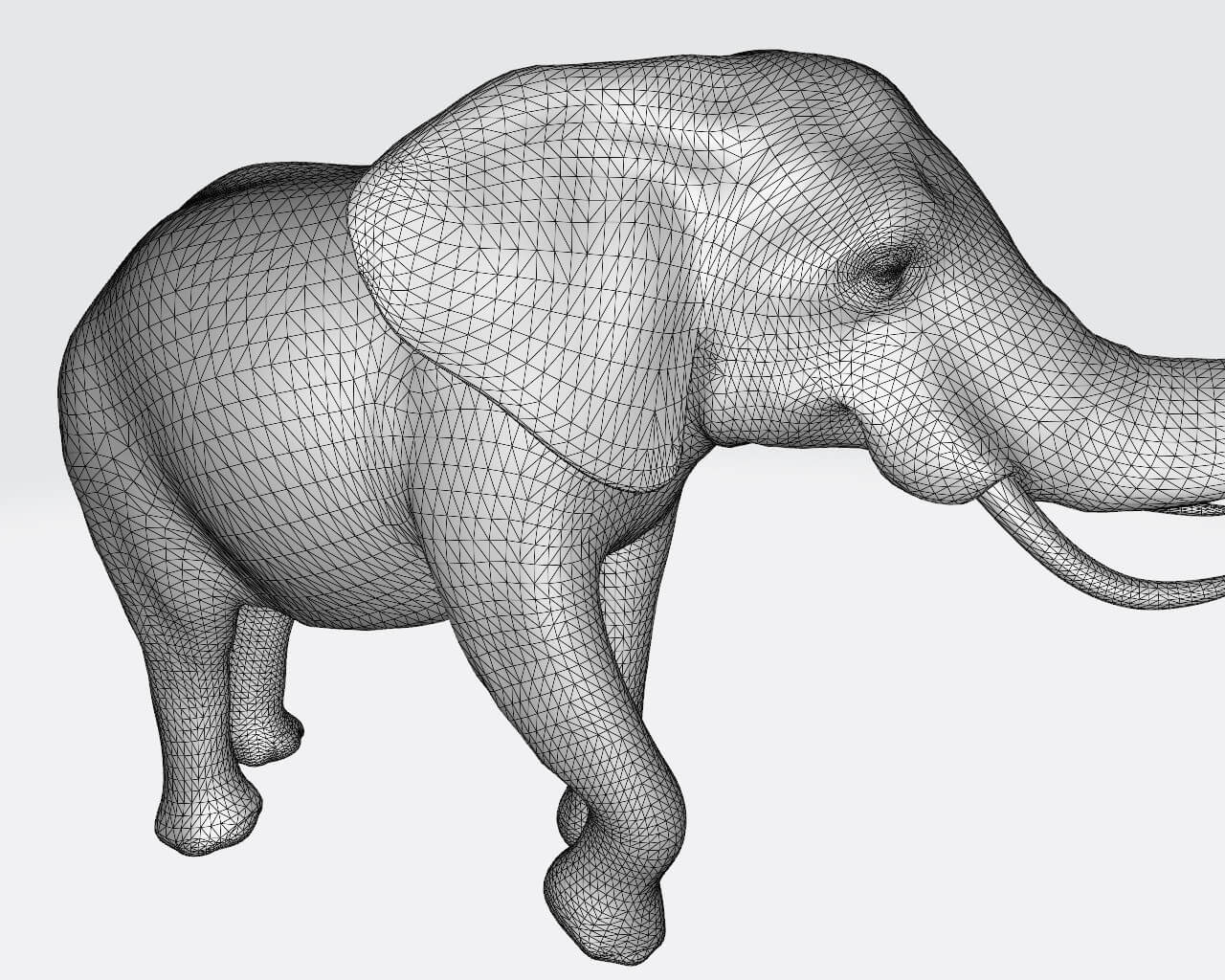Elephant Animal - 3D Model by dawnhurt
