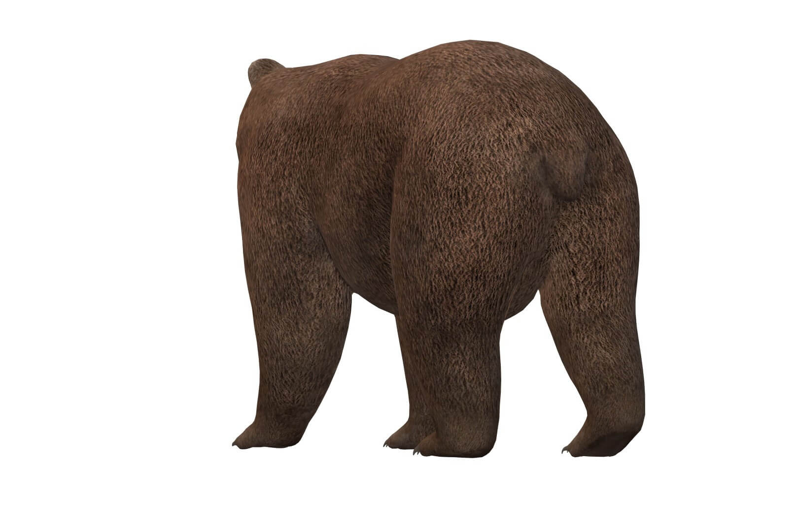 Fat Brown Bear - 3D Model by dawnhurt