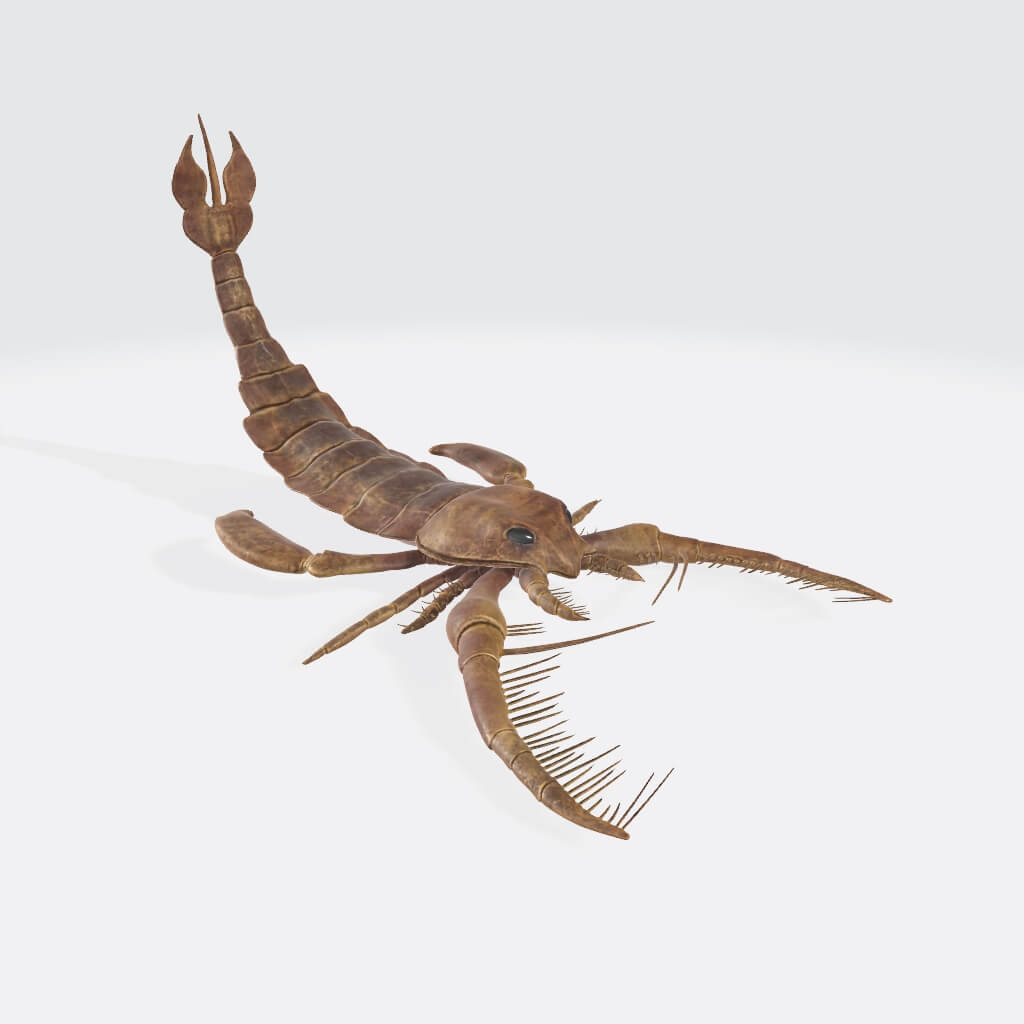 Jaekelopterus 3D Model Ready to Print 3D Render by dawnhurt