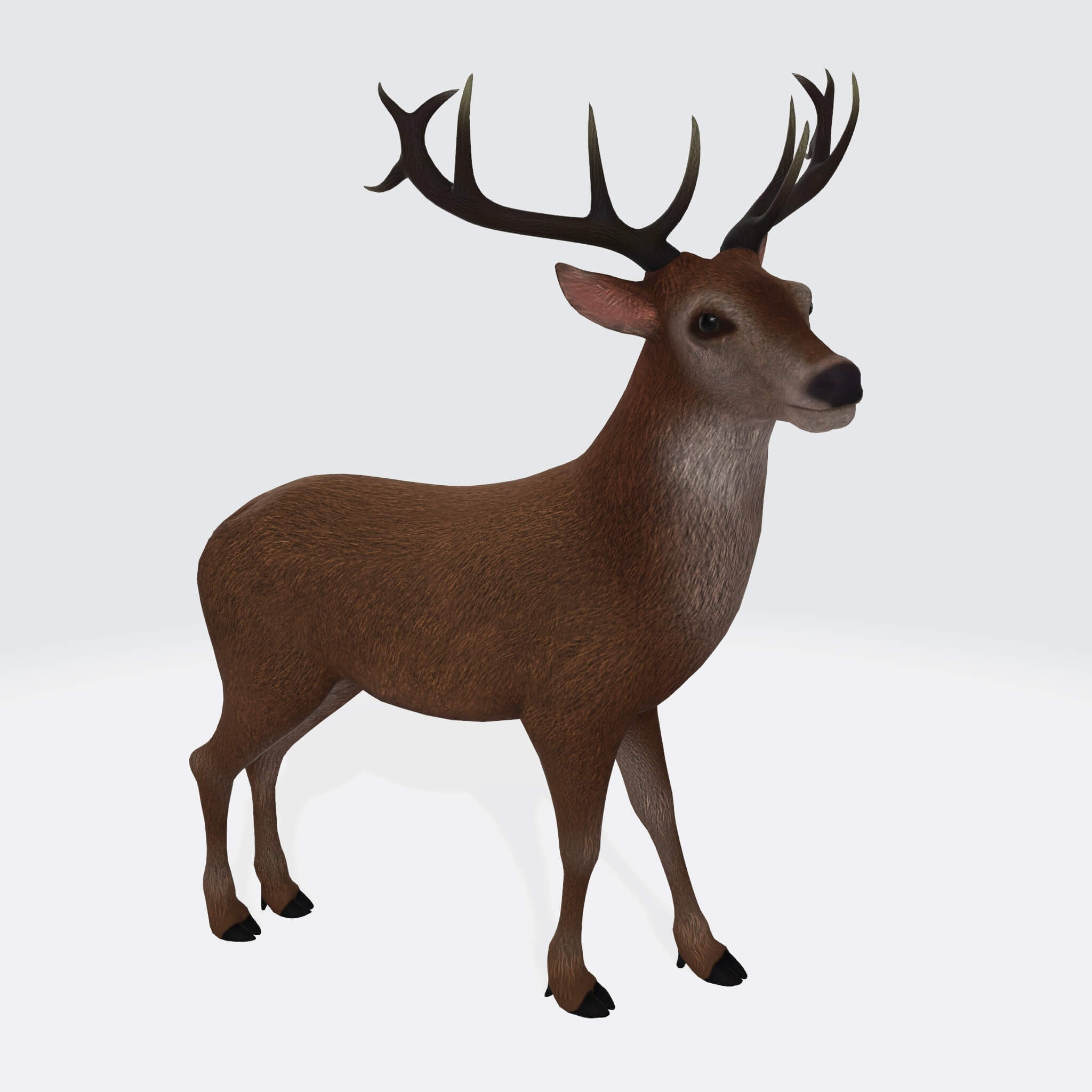 Reindeer 3D Model Ready to Print 3D Render by dawnhurt