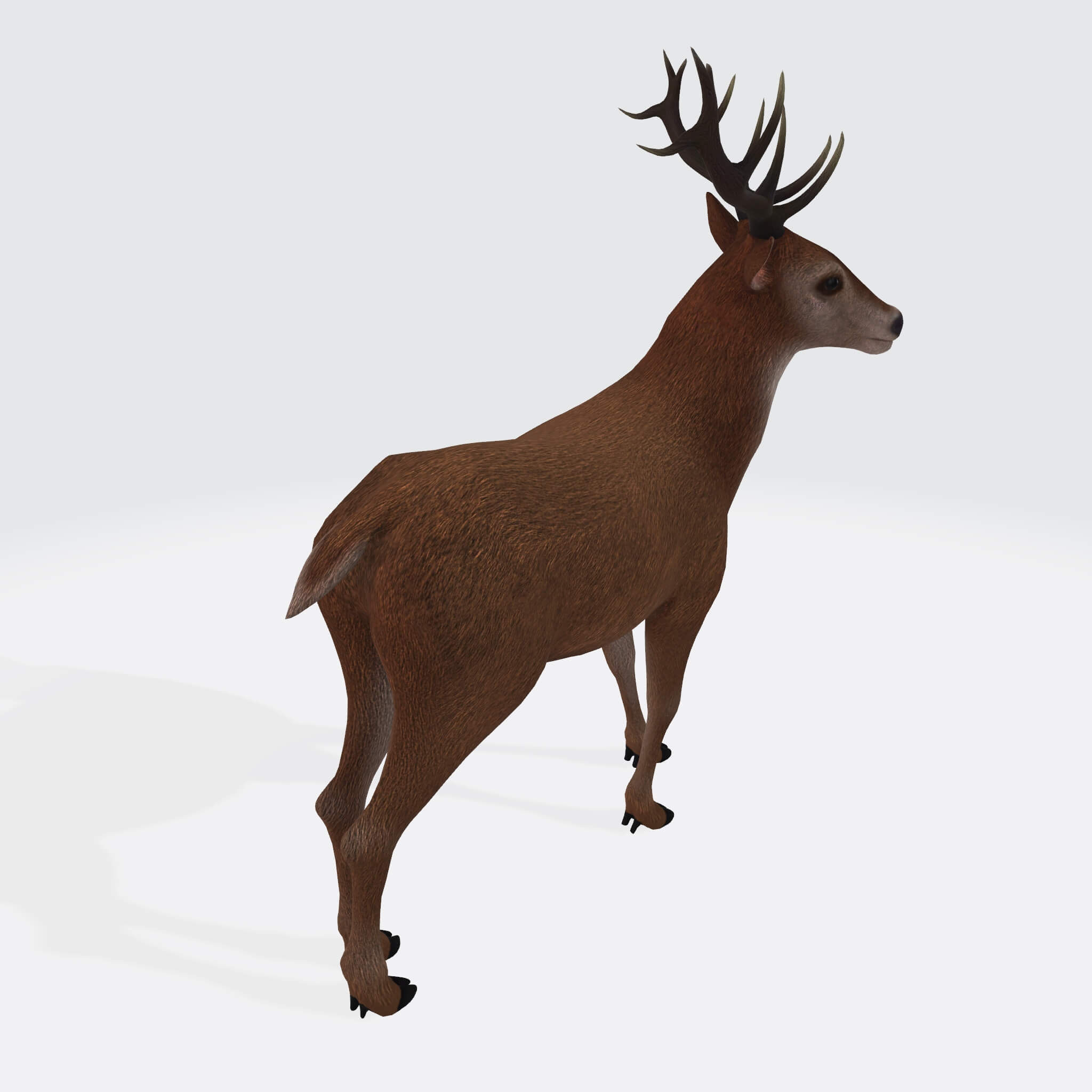 Reindeer 3D Model Ready to Print 3D Render by dawnhurt