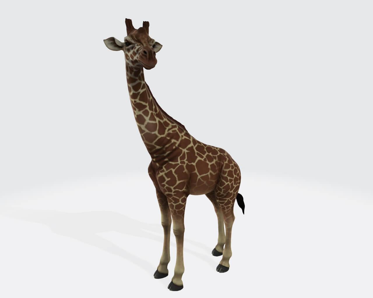 Giraffe Animal - 3D Model by dawnhurt