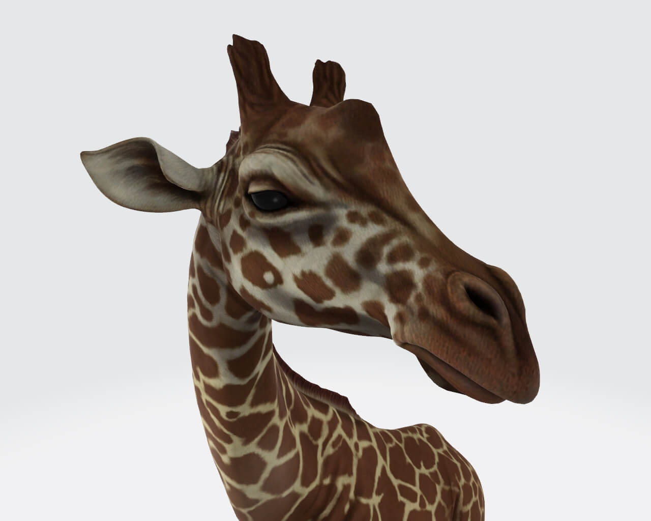 Giraffe Animal - 3D Model by dawnhurt
