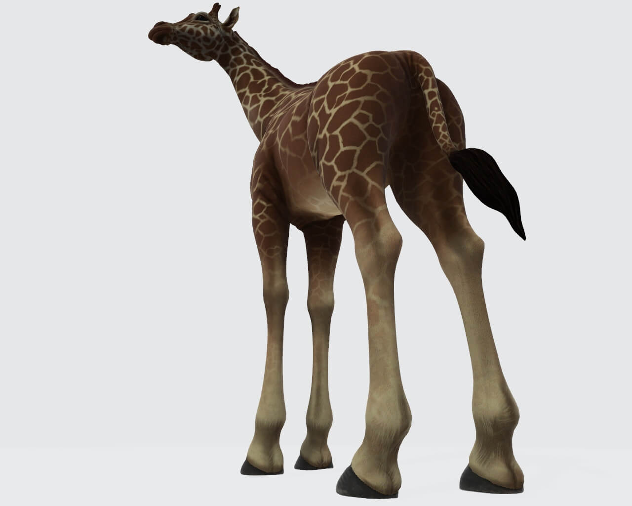 Giraffe Animal - 3D Model by dawnhurt