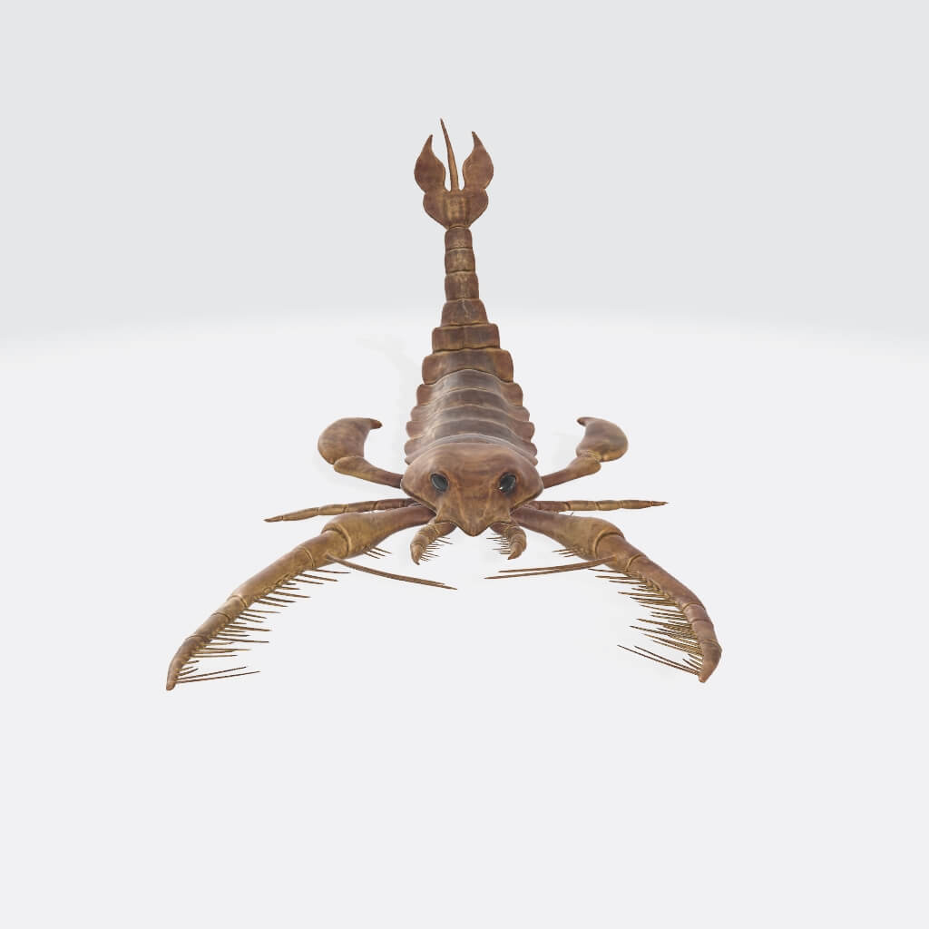 Scorpion Animal Character - 3D Model by dawnhurt