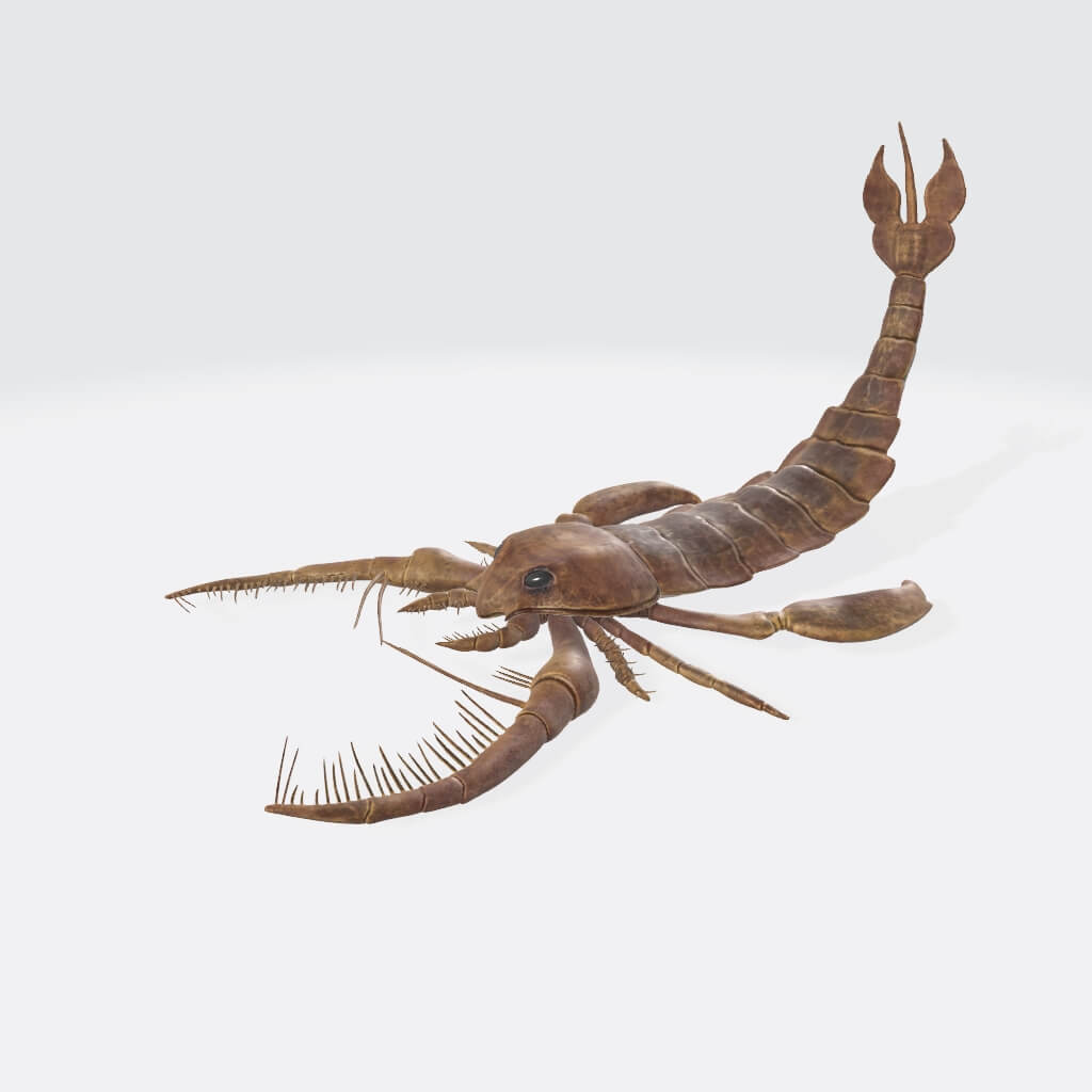 Scorpion Animal Character - 3D Model by dawnhurt