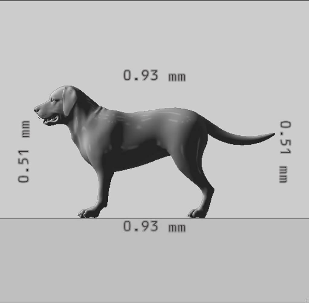 Labrador Retriever Dog - 3D Model by dawnhurt