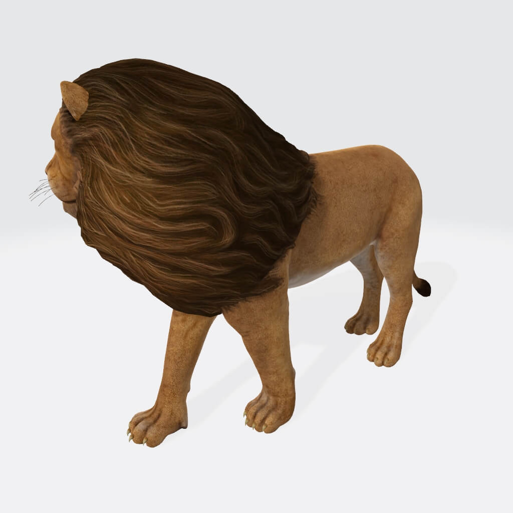 Lion Animals - 3D Model by dawnhurt