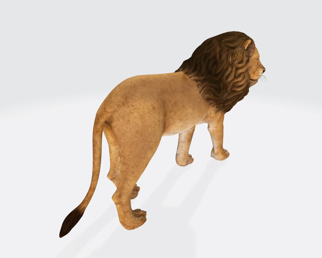 Lion Animals - 3D Print Model by dawnhurt