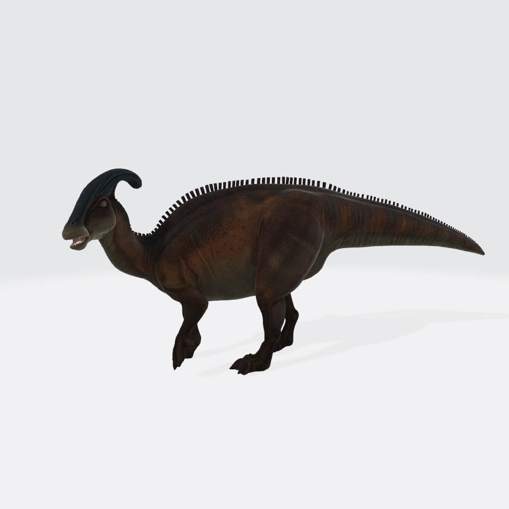 Parasaurolophus Dinasau - 3D Model by dawnhurt