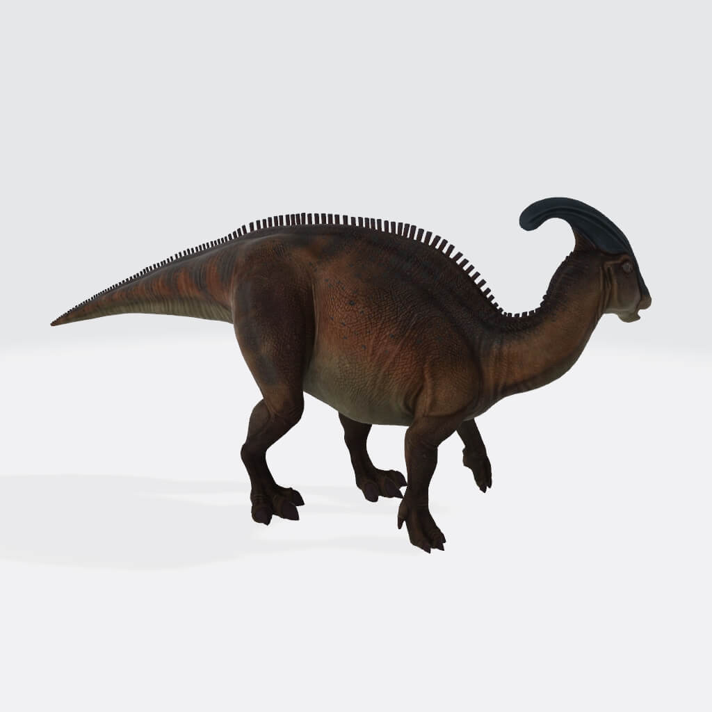 Parasaurolophus Dinasau - 3D Model by dawnhurt