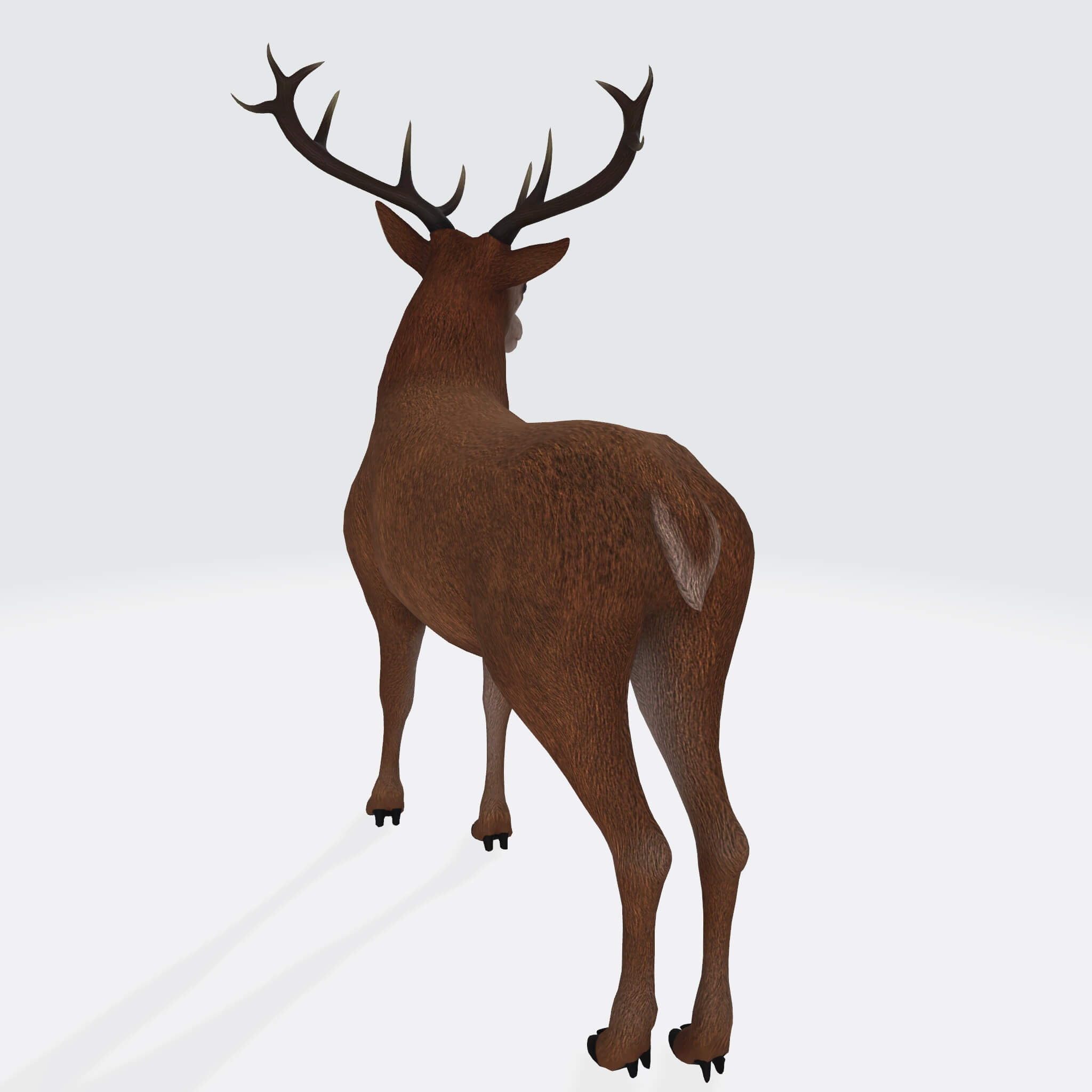Reindeer Animal - 3D Print Model by dawnhurt