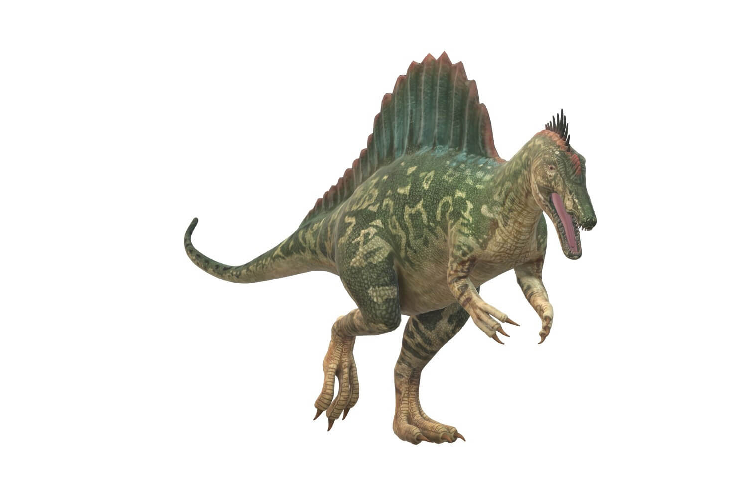 Spinosaurus Dinosaur - 3D Model by dawnhurt