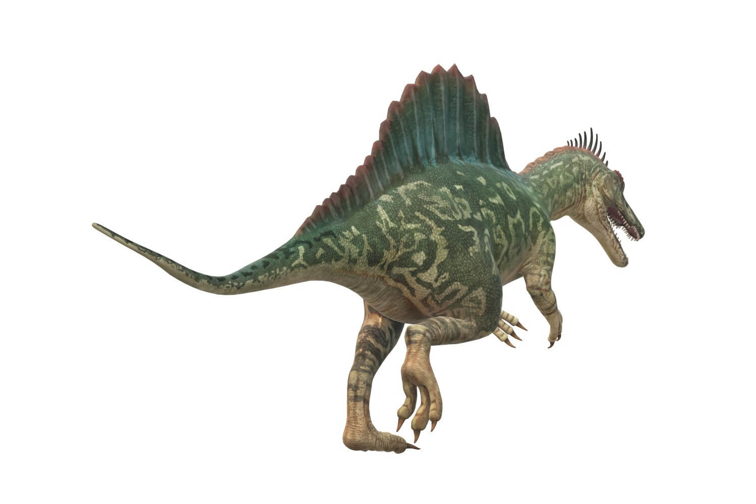 Spinosaurus Dinosaur - 3D Model by dawnhurt