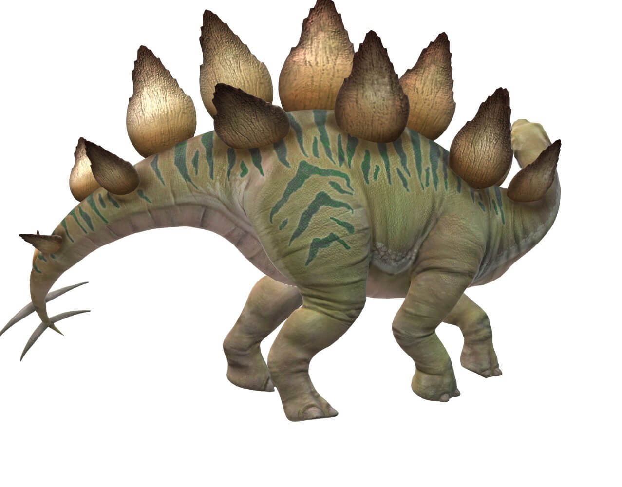 Stegosaurus Dinosaur - 3D Model by dawnhurt