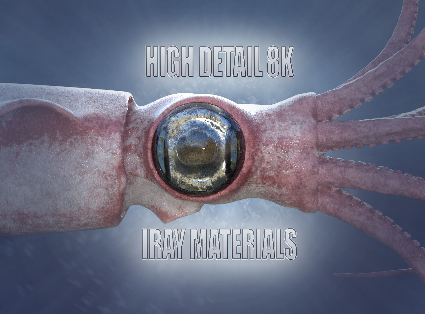 dbxxx - Squid Daz Content by db xxx