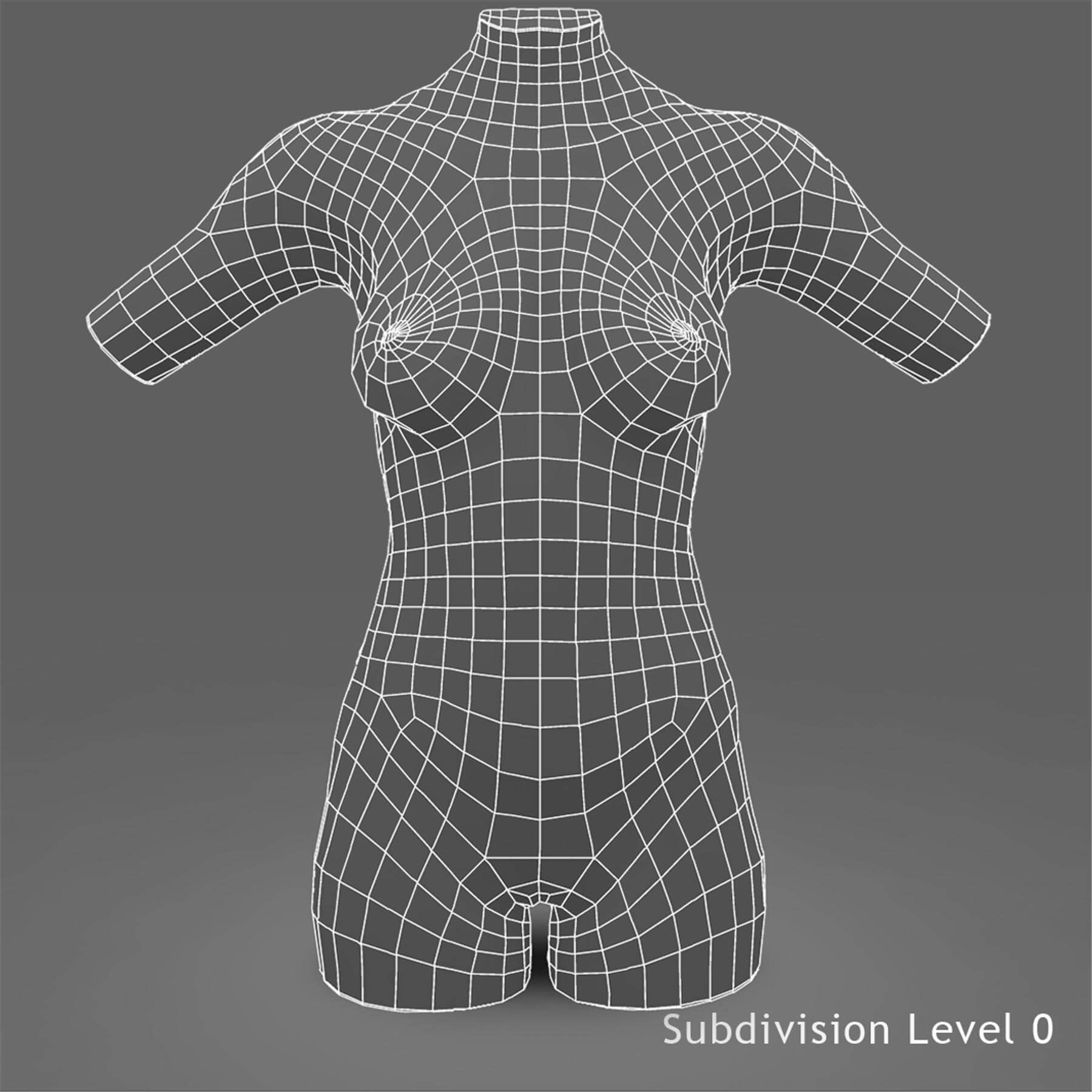 African American Female Torso - 3D Model by dcbittorf